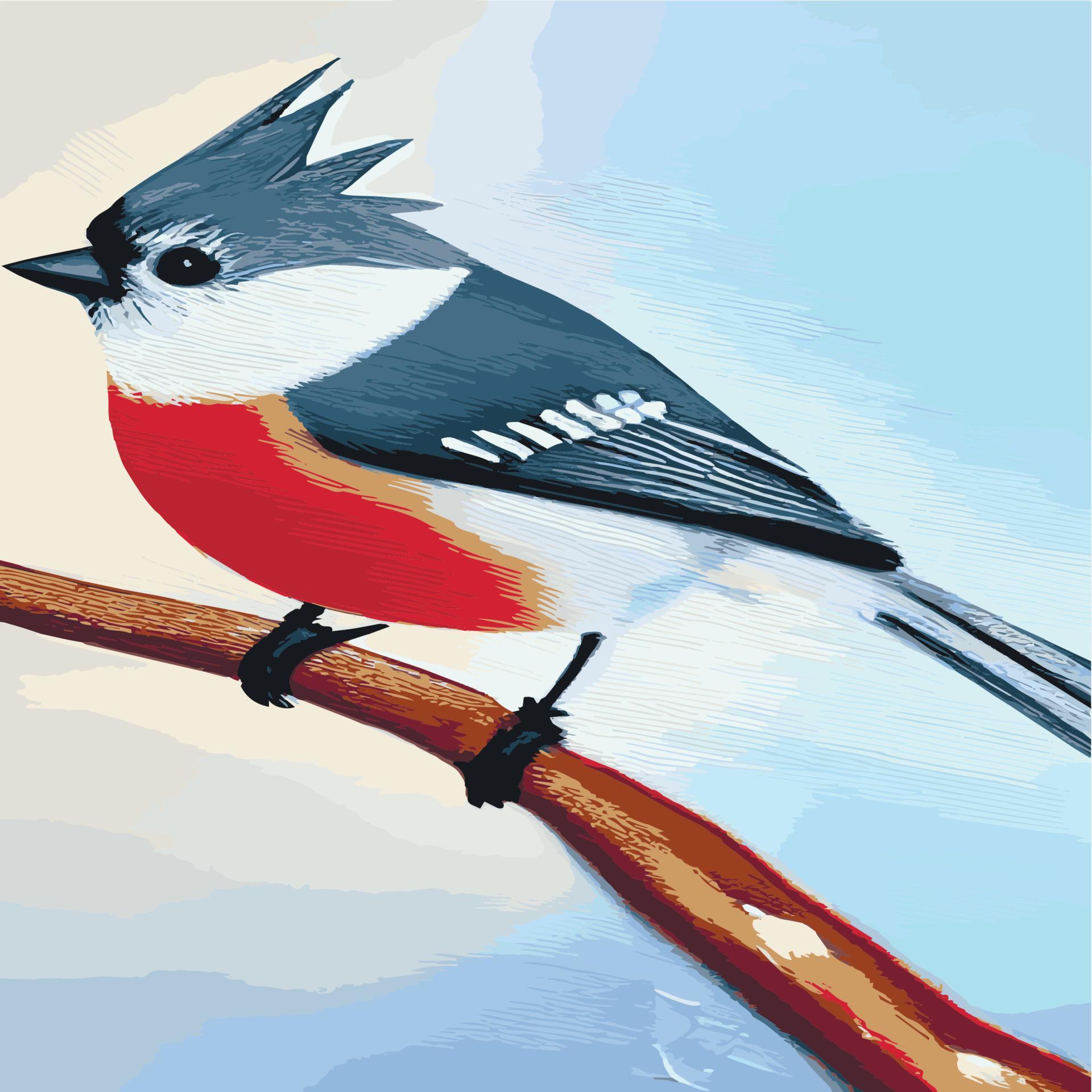 Vector realistic detailed vector illustration winter birds branches ...