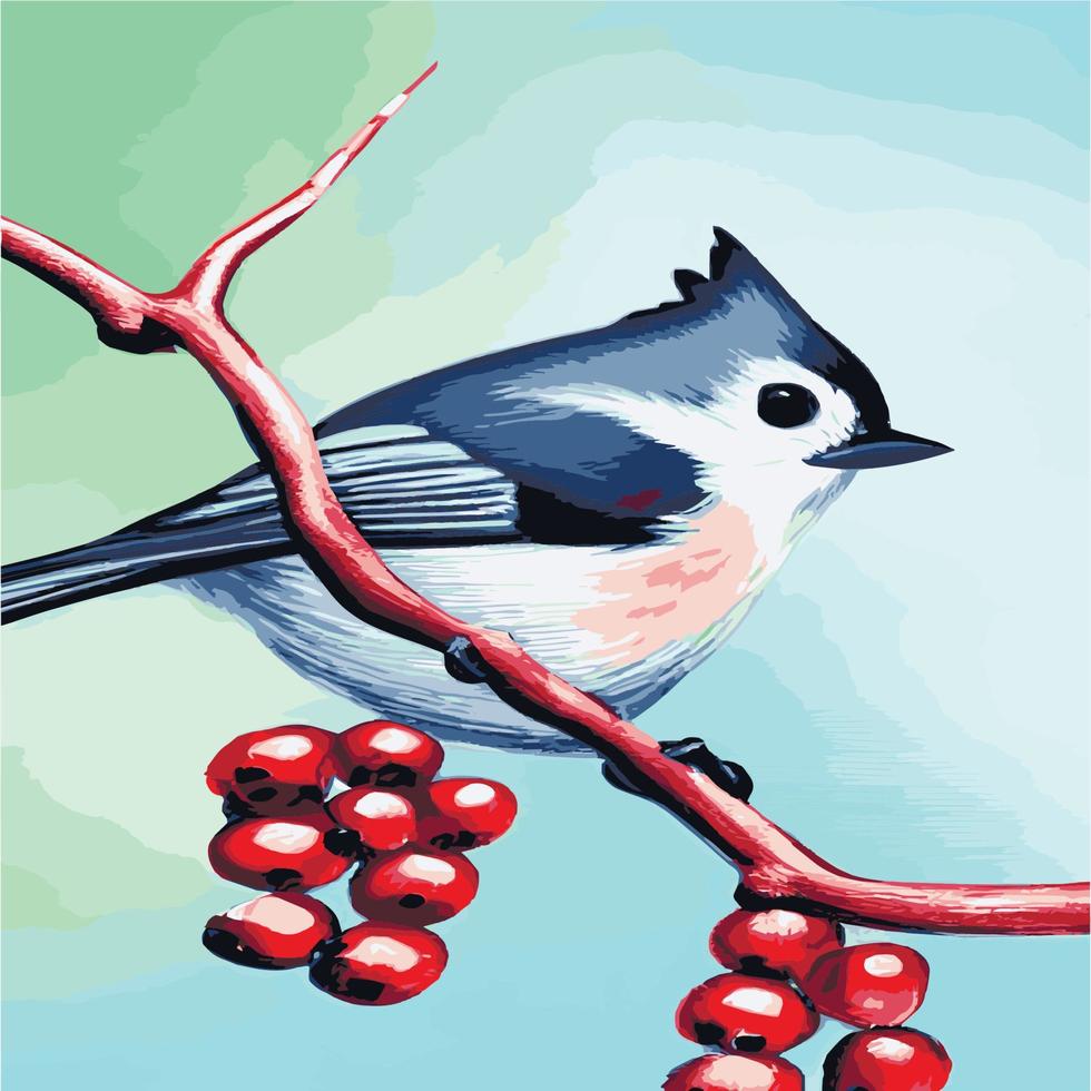 Vector realistic detailed vector illustration winter birds branches ...