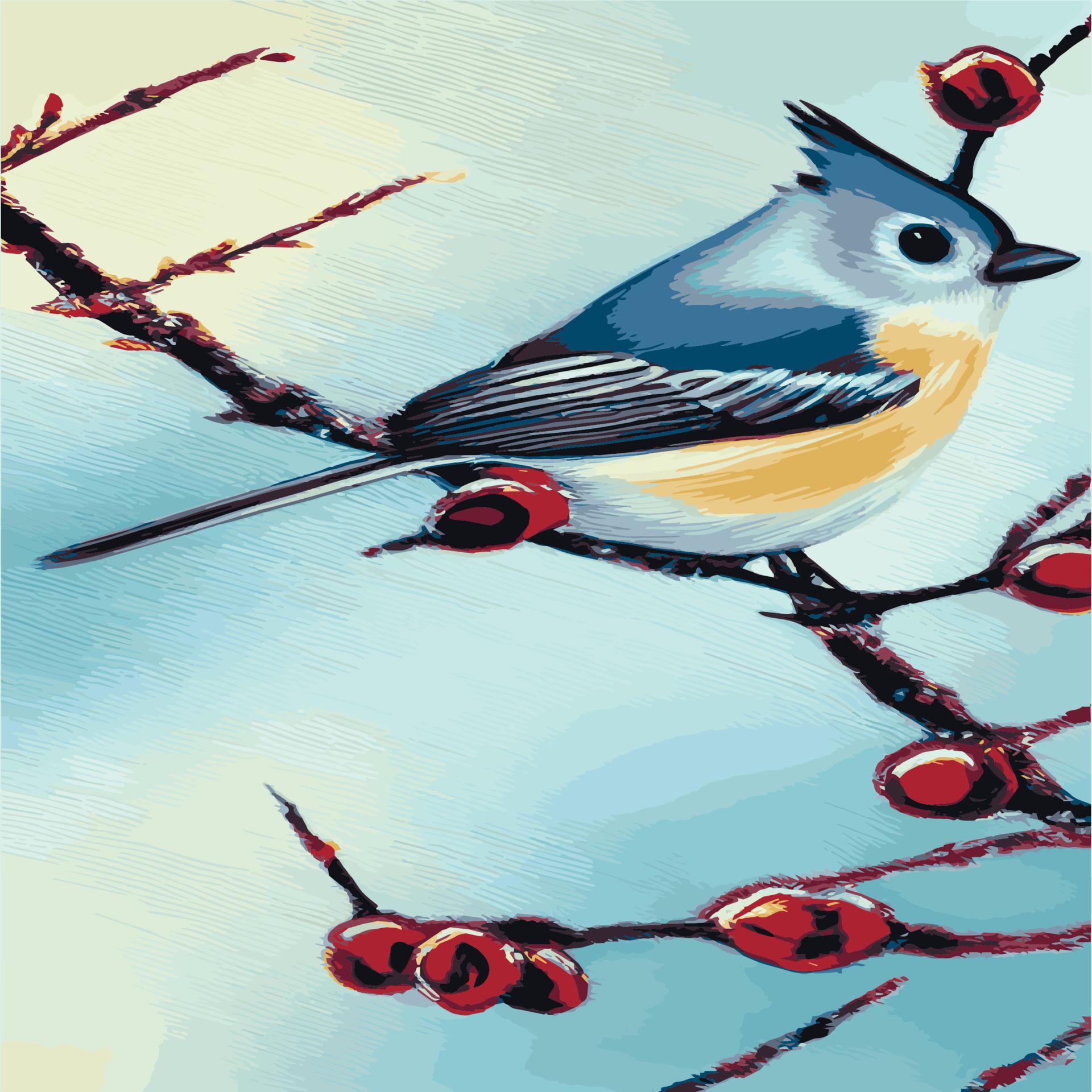 Vector realistic detailed vector illustration winter birds branches ...
