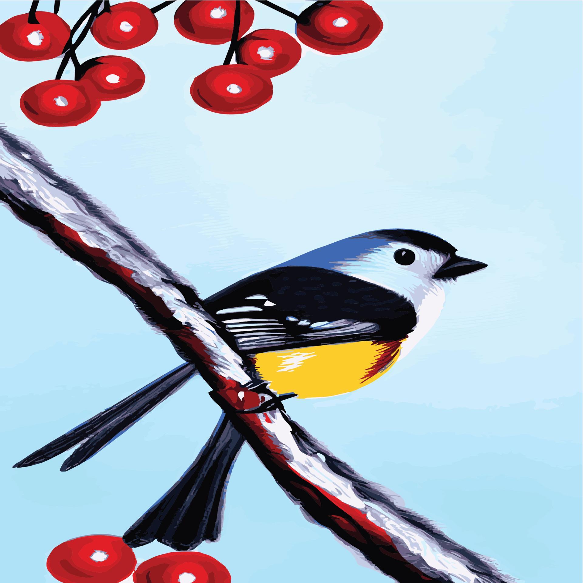 Vector realistic detailed vector illustration winter birds branches ...