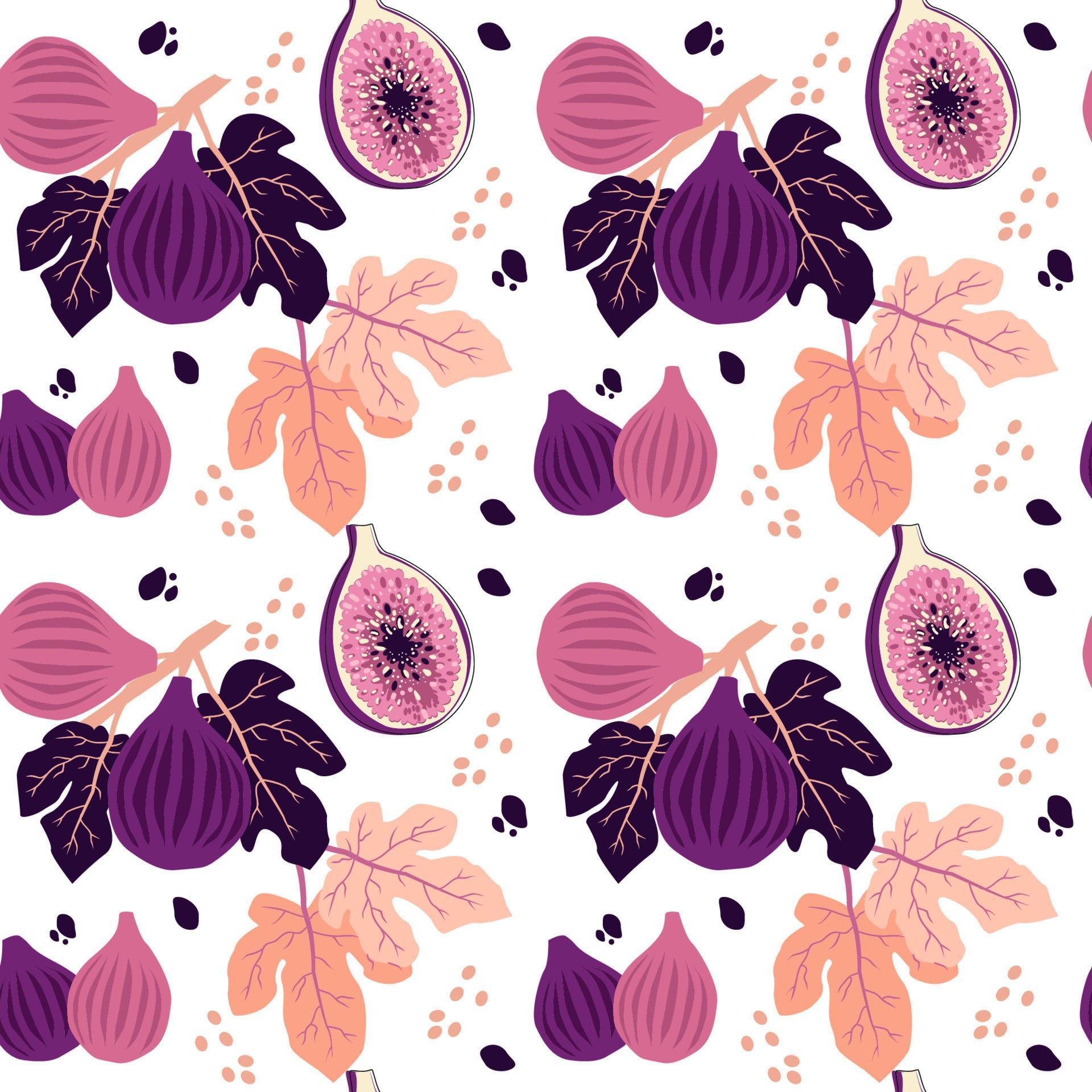 Fig vector pattern 13427357 Vector Art at Vecteezy