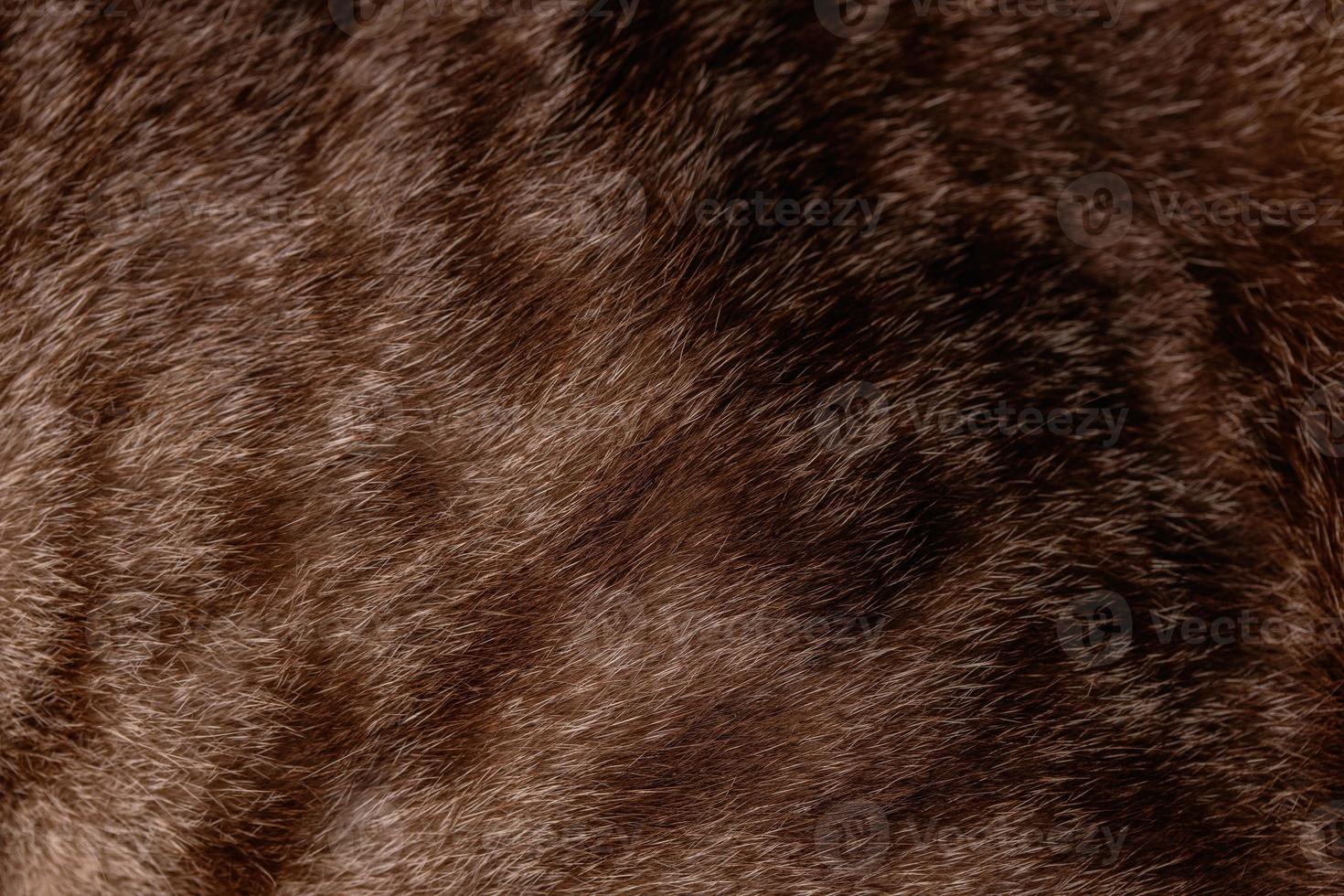 Brown soft fur for background. 13429579 Stock Photo at Vecteezy