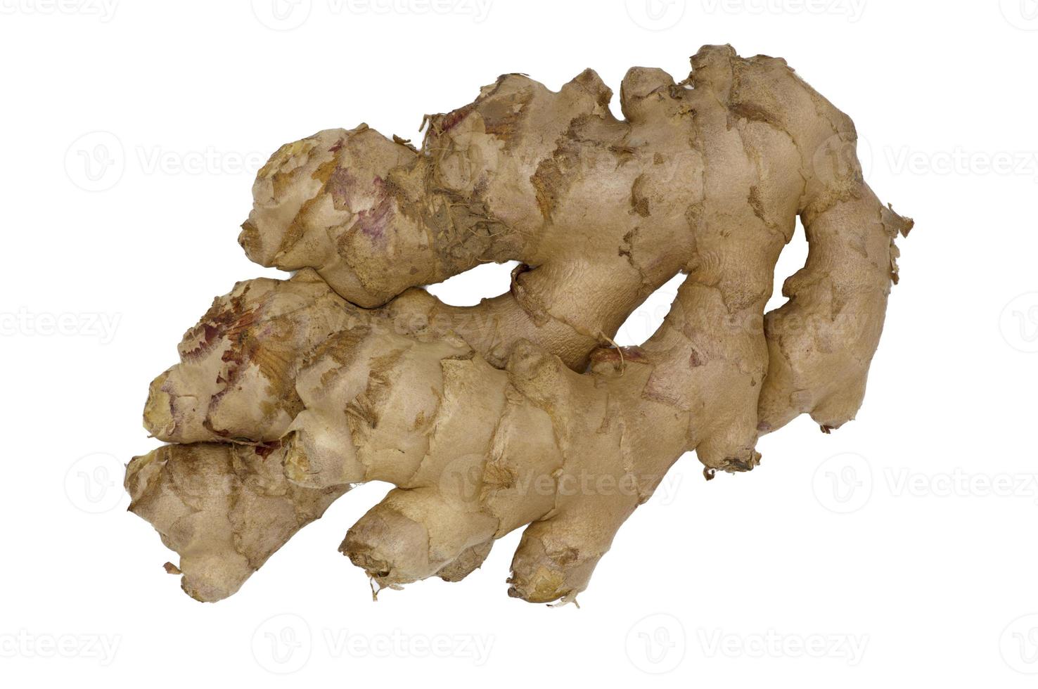 High angle of whole fresh ginger root or rhizome isolated on white ... High angle of whole fresh ginger root or rhizome isolated on white ...