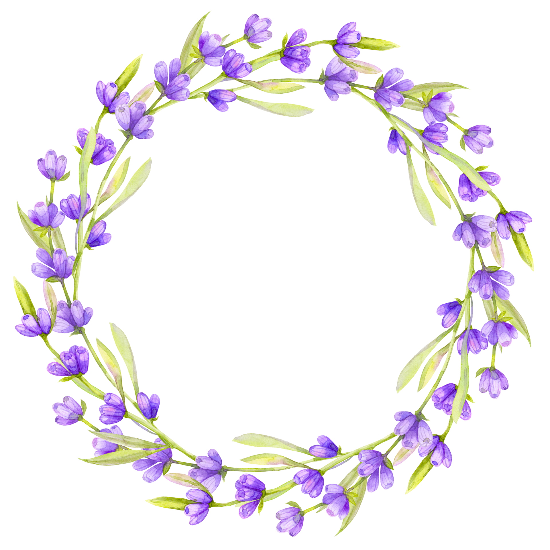 Watercolor Lavender Wreath Of Flowers Circle Floral Provencal Style Design Hand Drawn Field