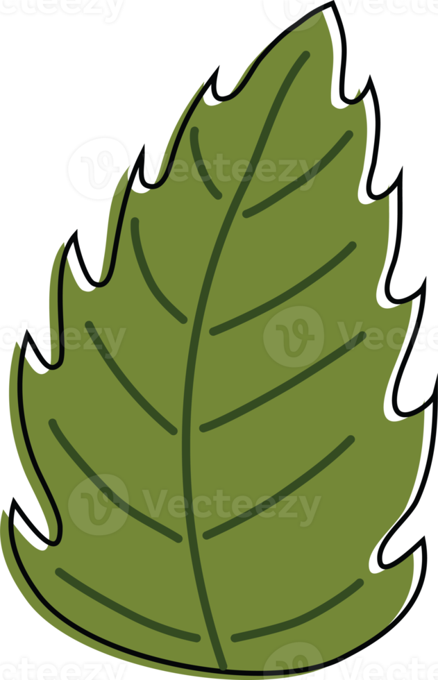 hoja verde de dibujos animados lindo de fresa de baya roja 13452793 PNG hoja verde de dibujos animados lindo de fresa de baya roja 13452793 PNG