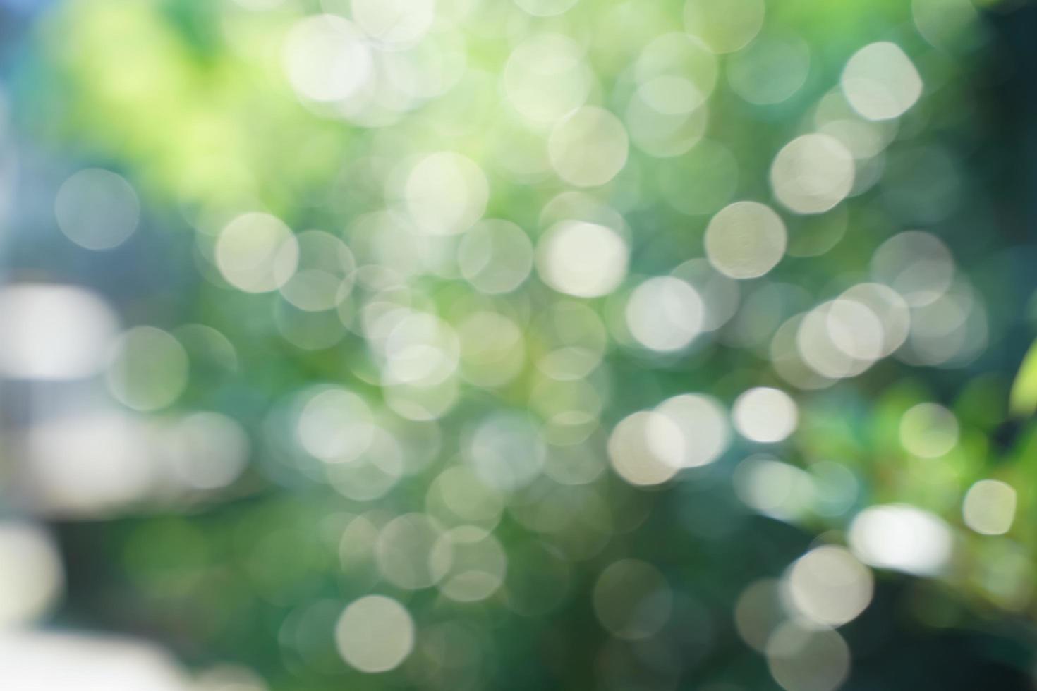 Beautiful natural bokeh blur background make the beauty of light. 13461336 Stock Photo at Vecteezy