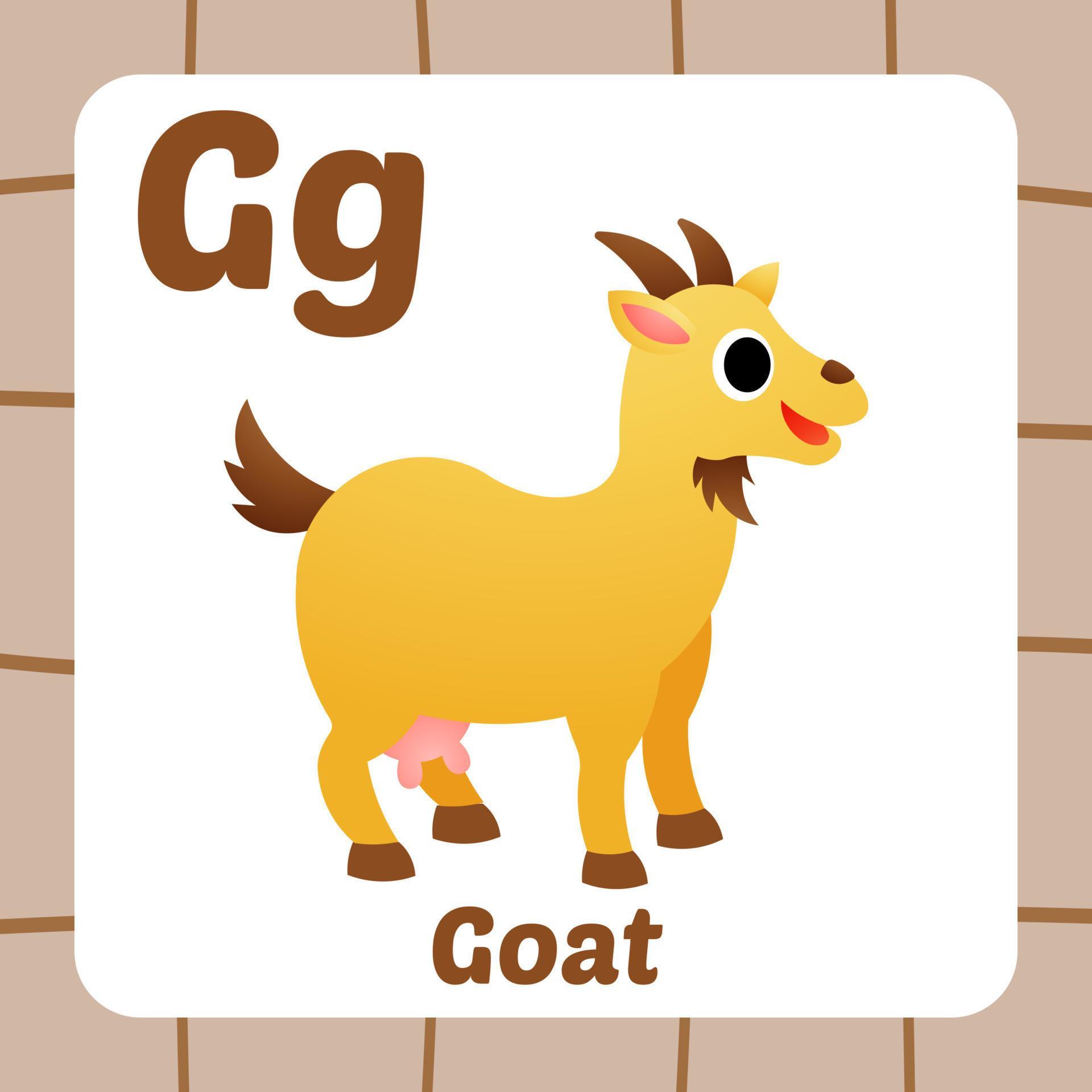 flashcard for kids, goat vector 13468609 Vector Art at Vecteezy