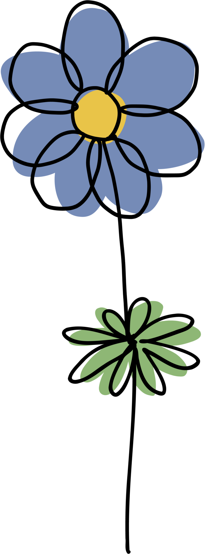 Simplicity Flower Freehand Continuous Line Drawing 13473611 Png