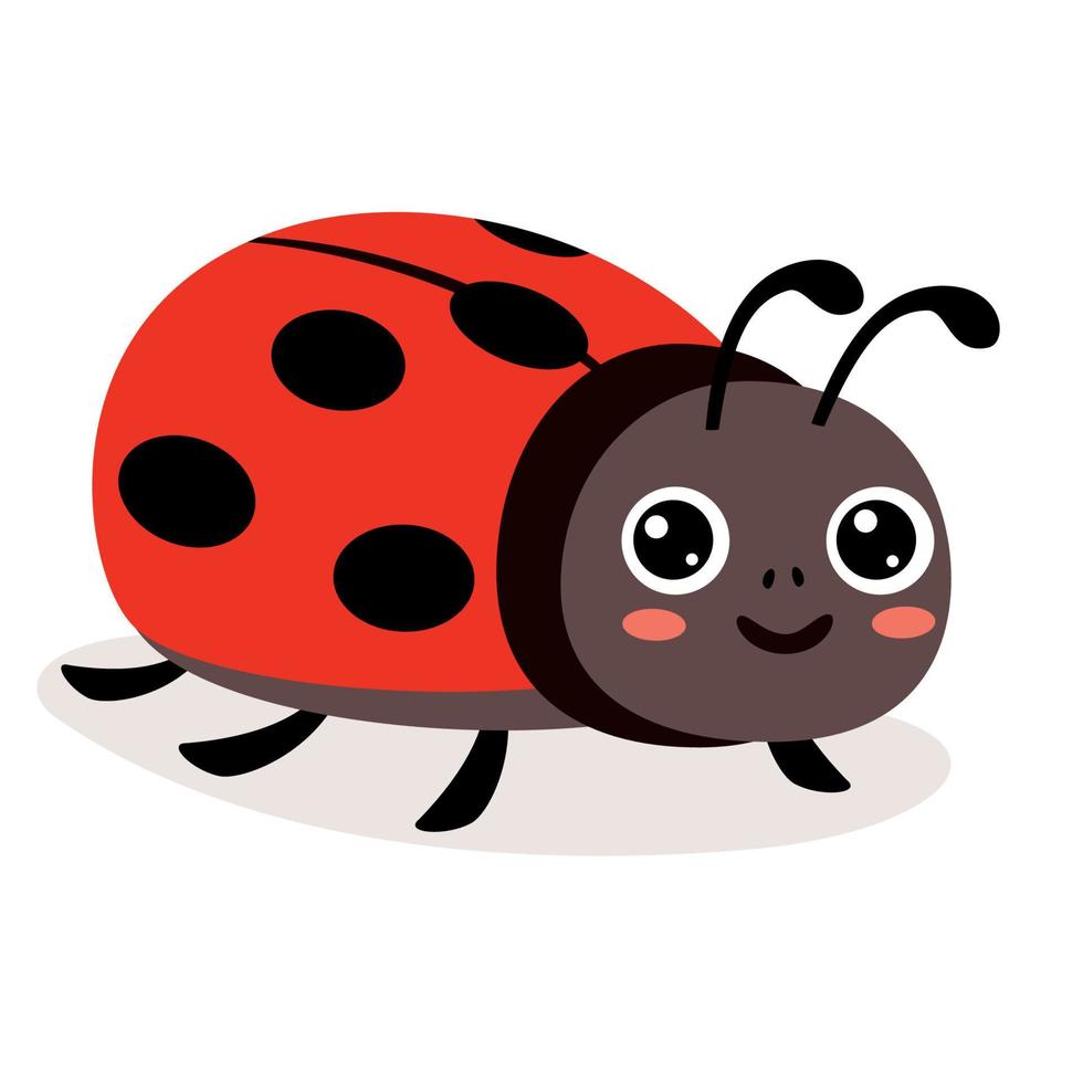 Ilustración De Dibujos Animados De Una Mariquita 13536964 Vector En Vecteezy