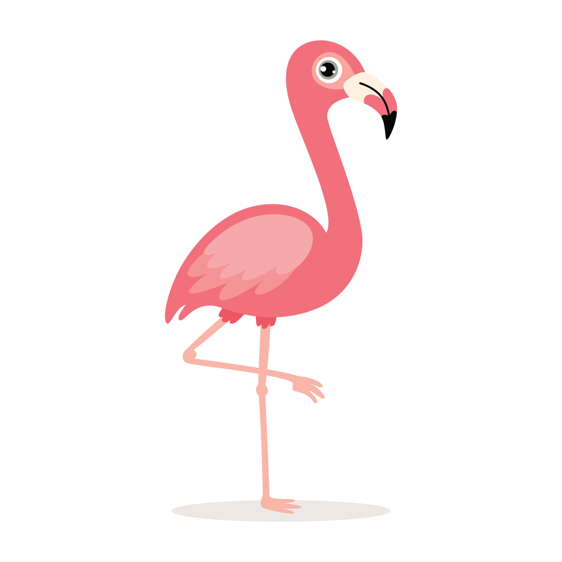 Cartoon Drawing Of A Flamingo 13536996 Vector Art At Vecteezy
