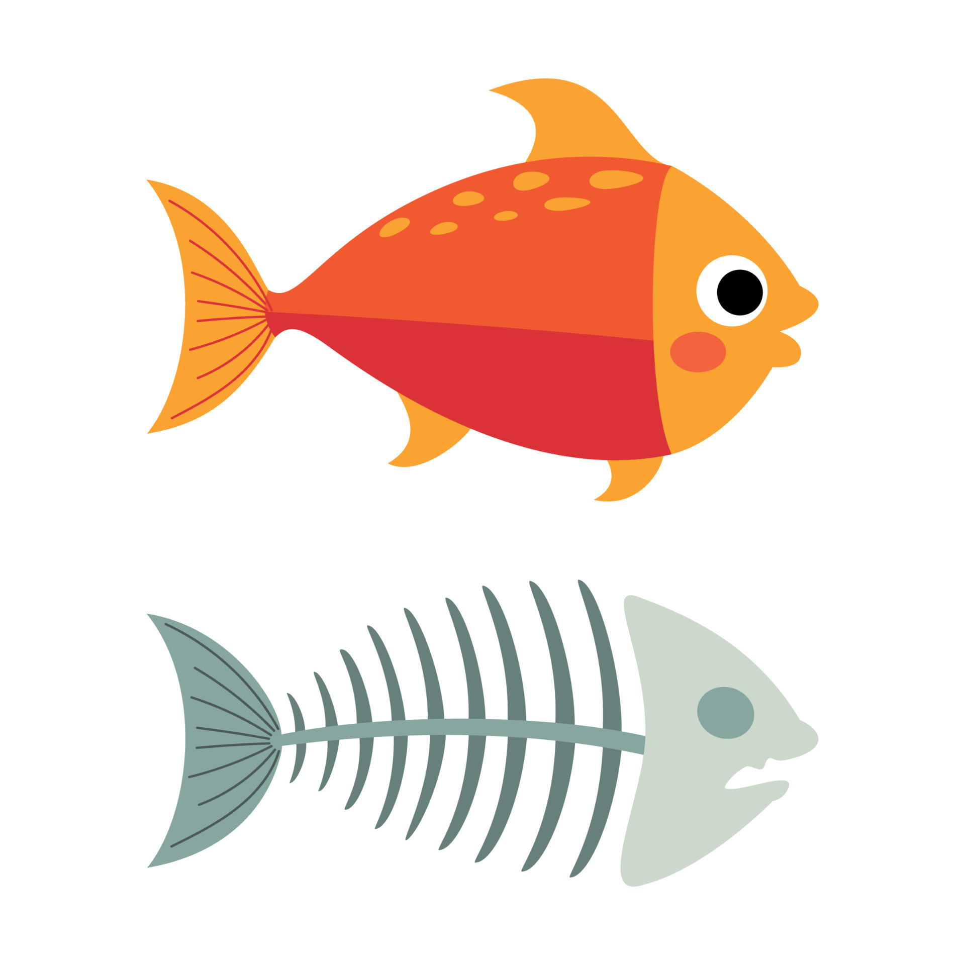Fish Cartoon Drawing Fish Cartoon Drawing