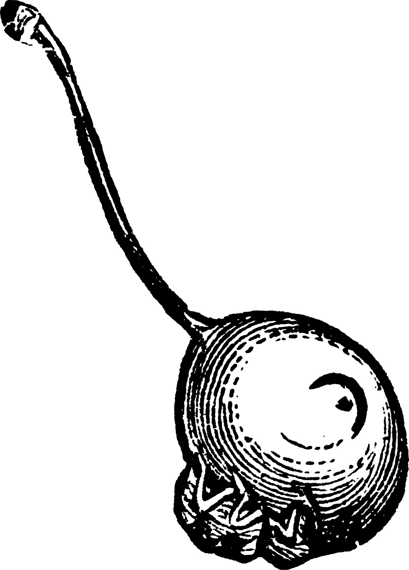 Plum Curculio, vintage illustration. 13577640 Vector Art at Vecteezy Plum Curculio, vintage illustration. 13577640 Vector Art at Vecteezy