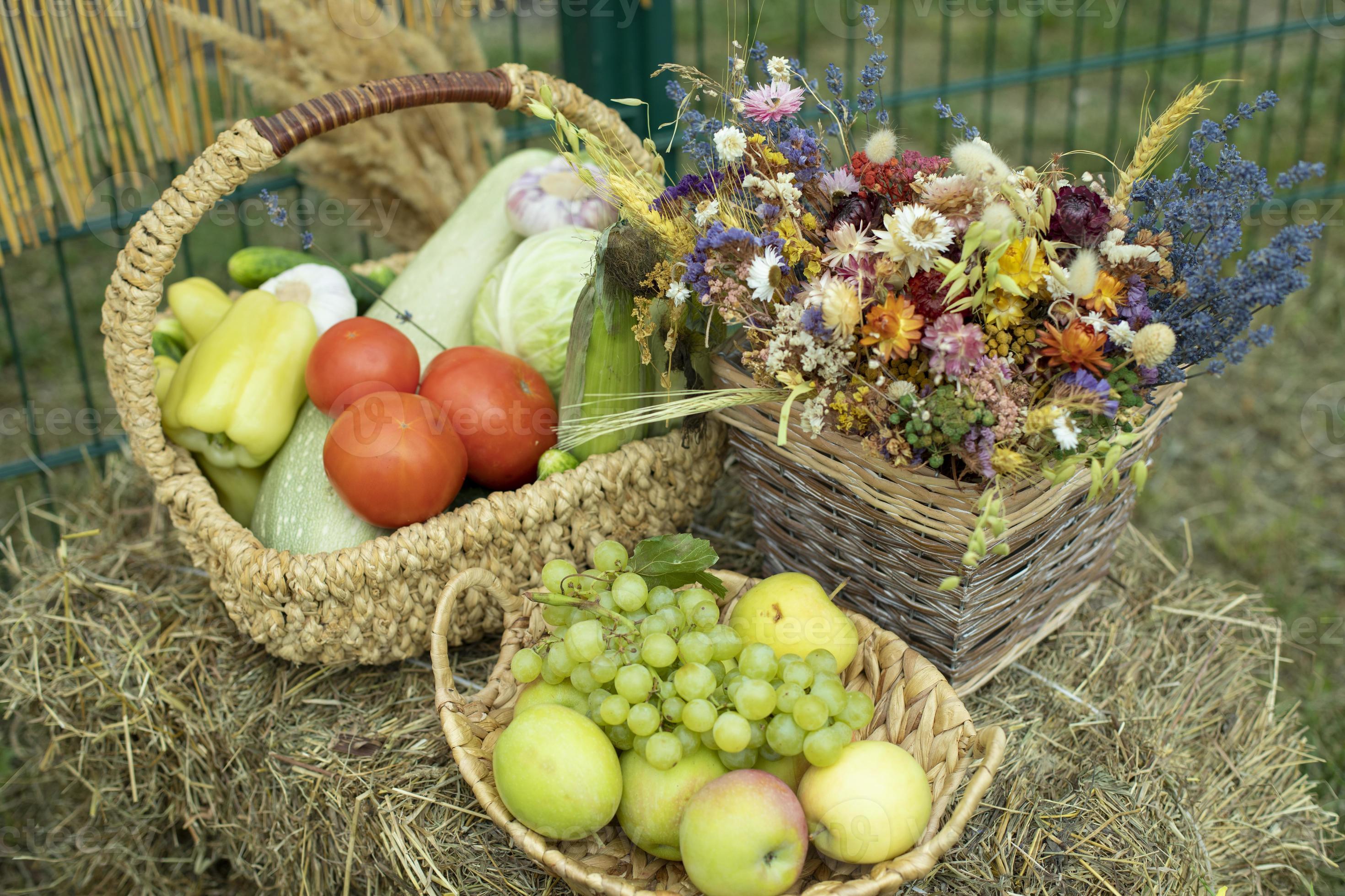 Autumn harvest of fruits and vegetables. Fruits and vegetables in ...