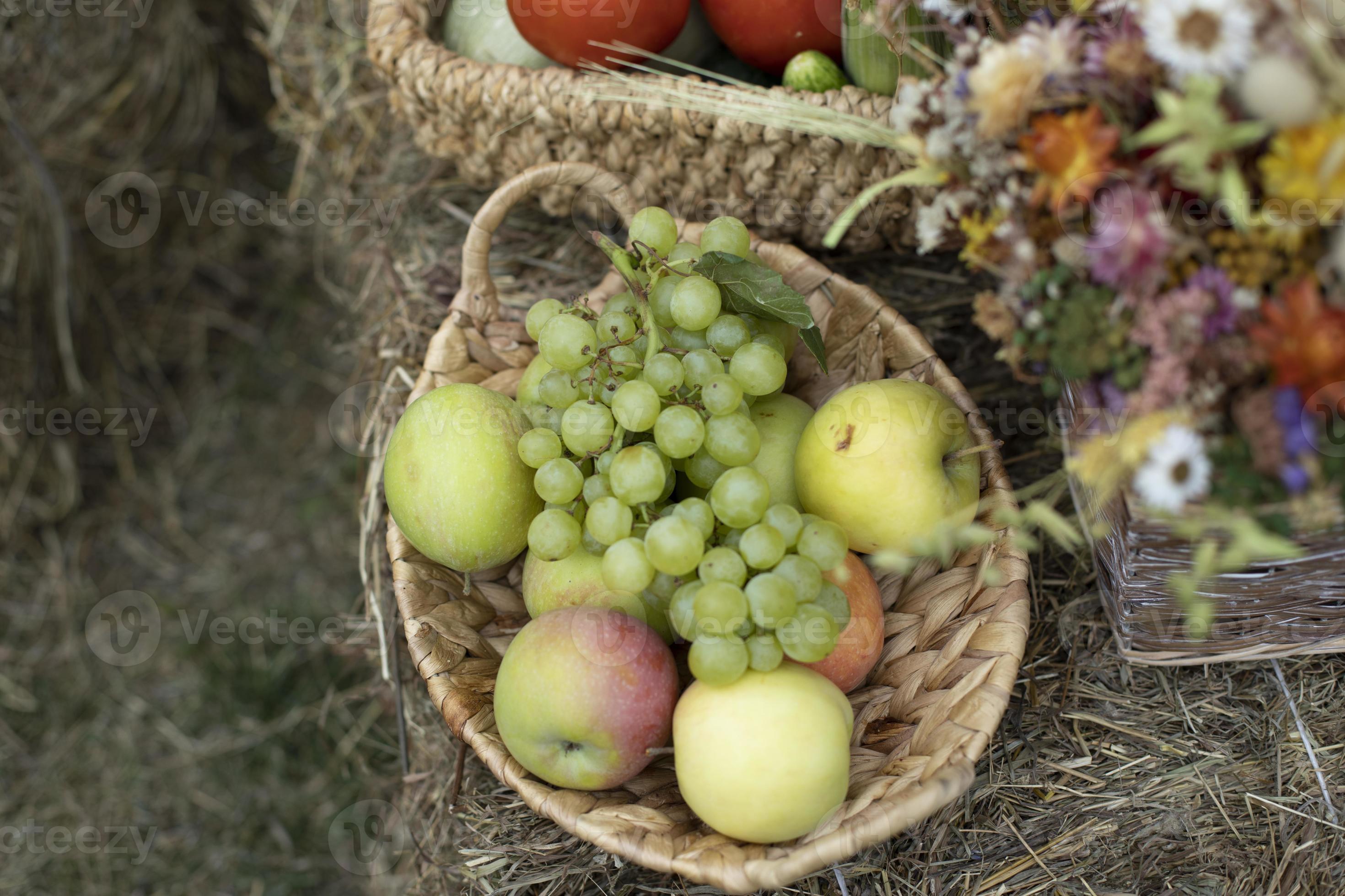 Autumn harvest of fruits and vegetables. Fruits and vegetables in ...