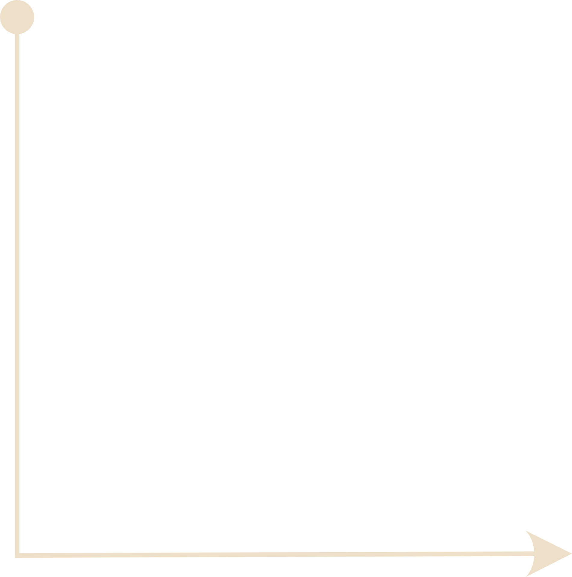 Minimal Thin Arrow Vector Illustration 13592923 Vector Art At Vecteezy