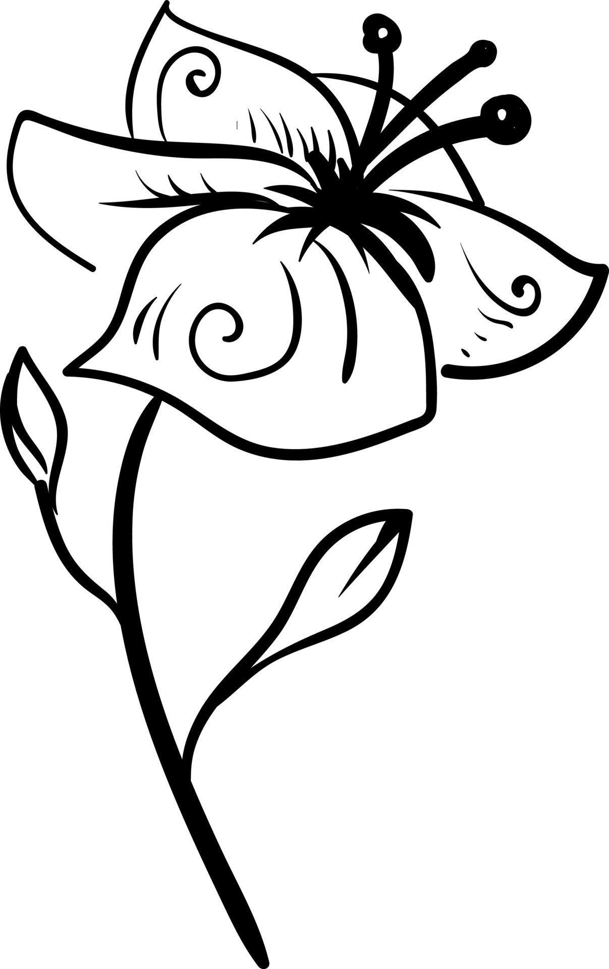 Poppy Sketch Illustration Vector On White Background 13599862 Vector Art At Vecteezy