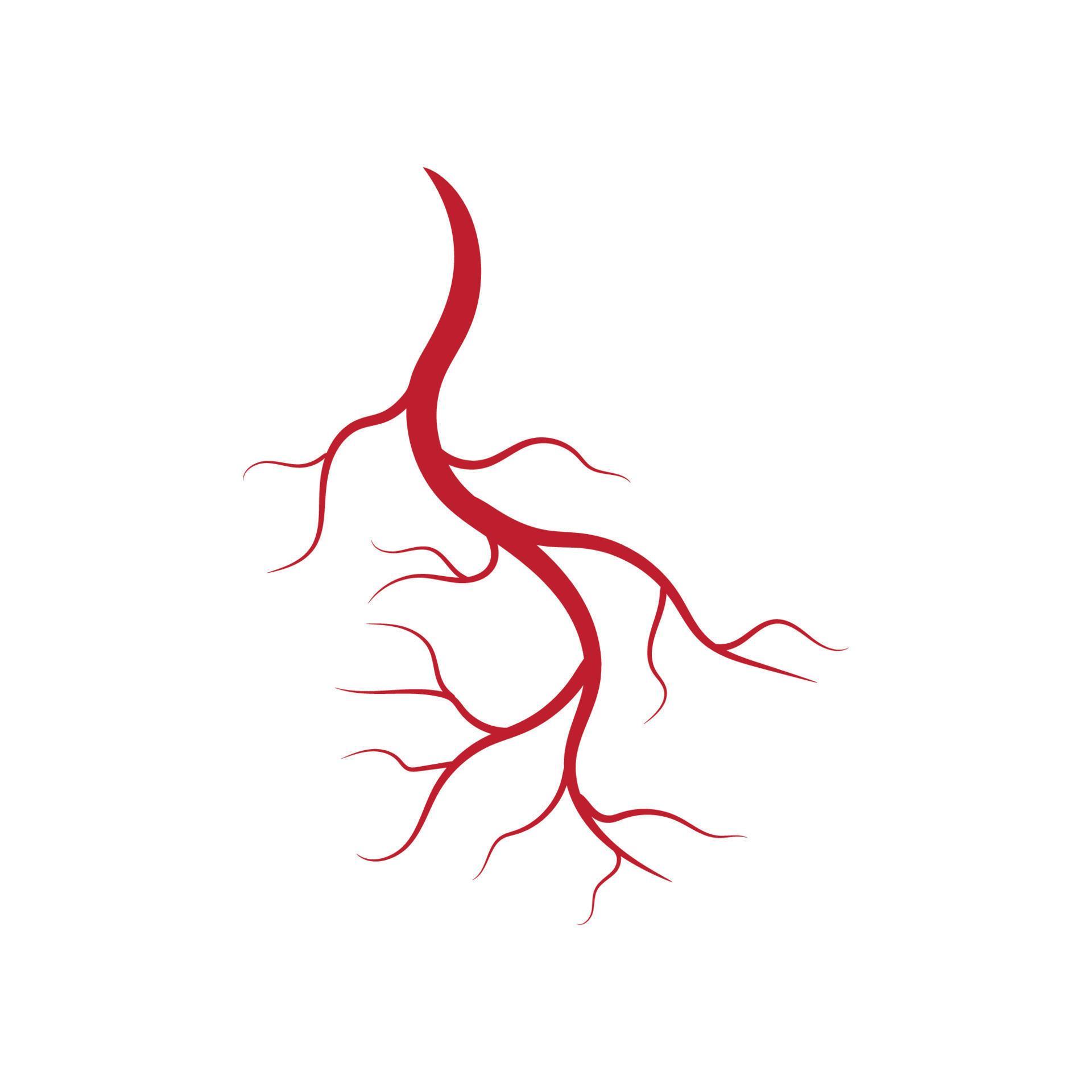 Human Veins And Arteries Illustration 13636116 Vector Art At Vecteezy