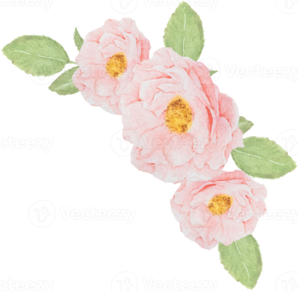 Watercolor Pink Rose Flower Bouquet 13641500 Png