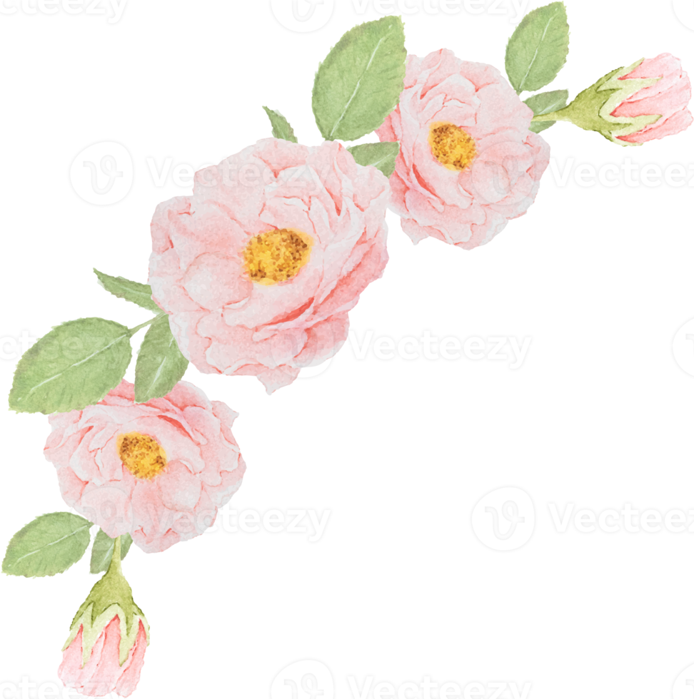 Watercolor Pink Rose Flower Bouquet 13641504 Png