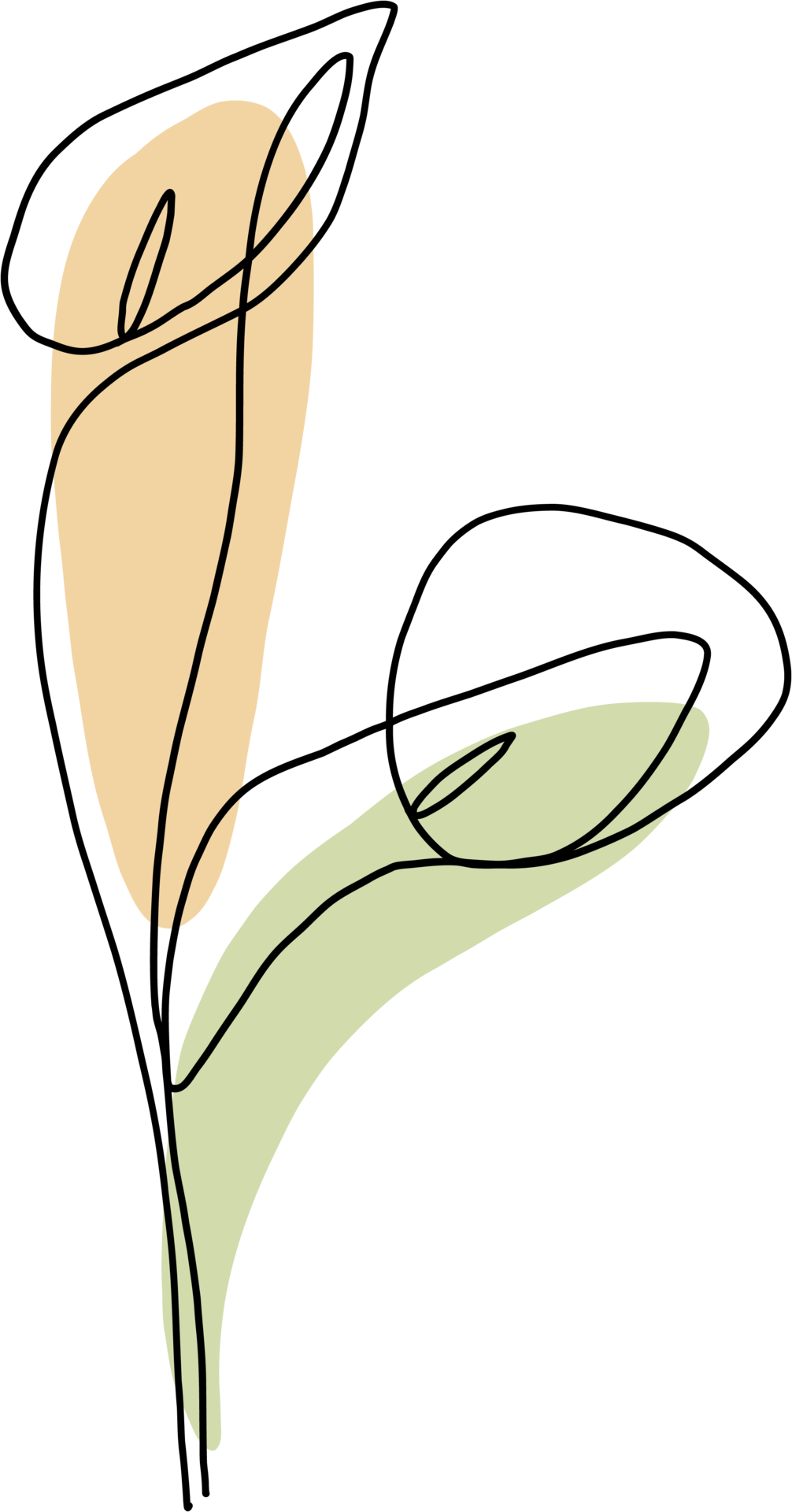 Simplicity Flower Freehand Continuous Line Drawing 13643757 Png