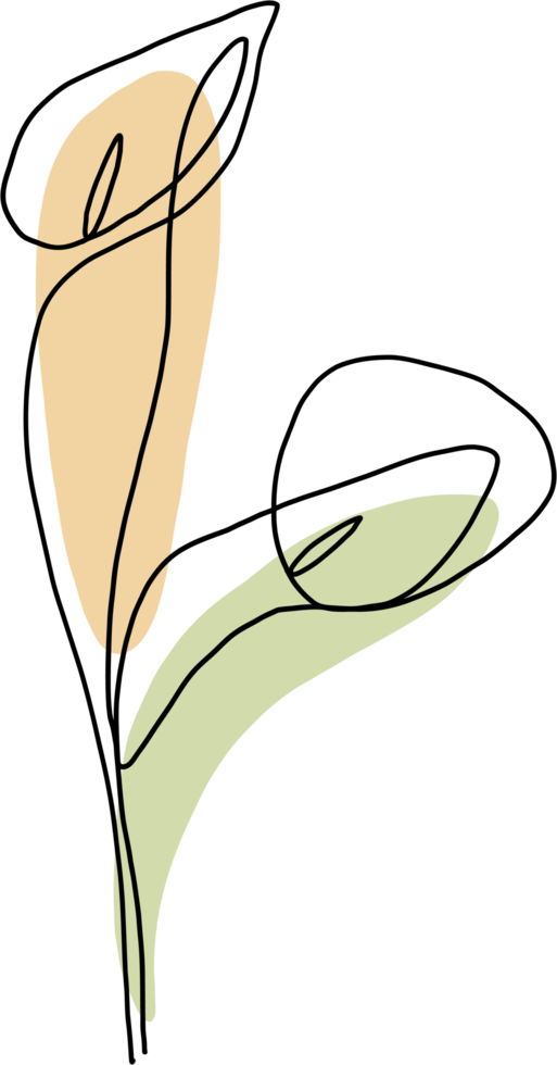 Simplicity Flower Freehand Continuous Line Drawing 13643757 Png