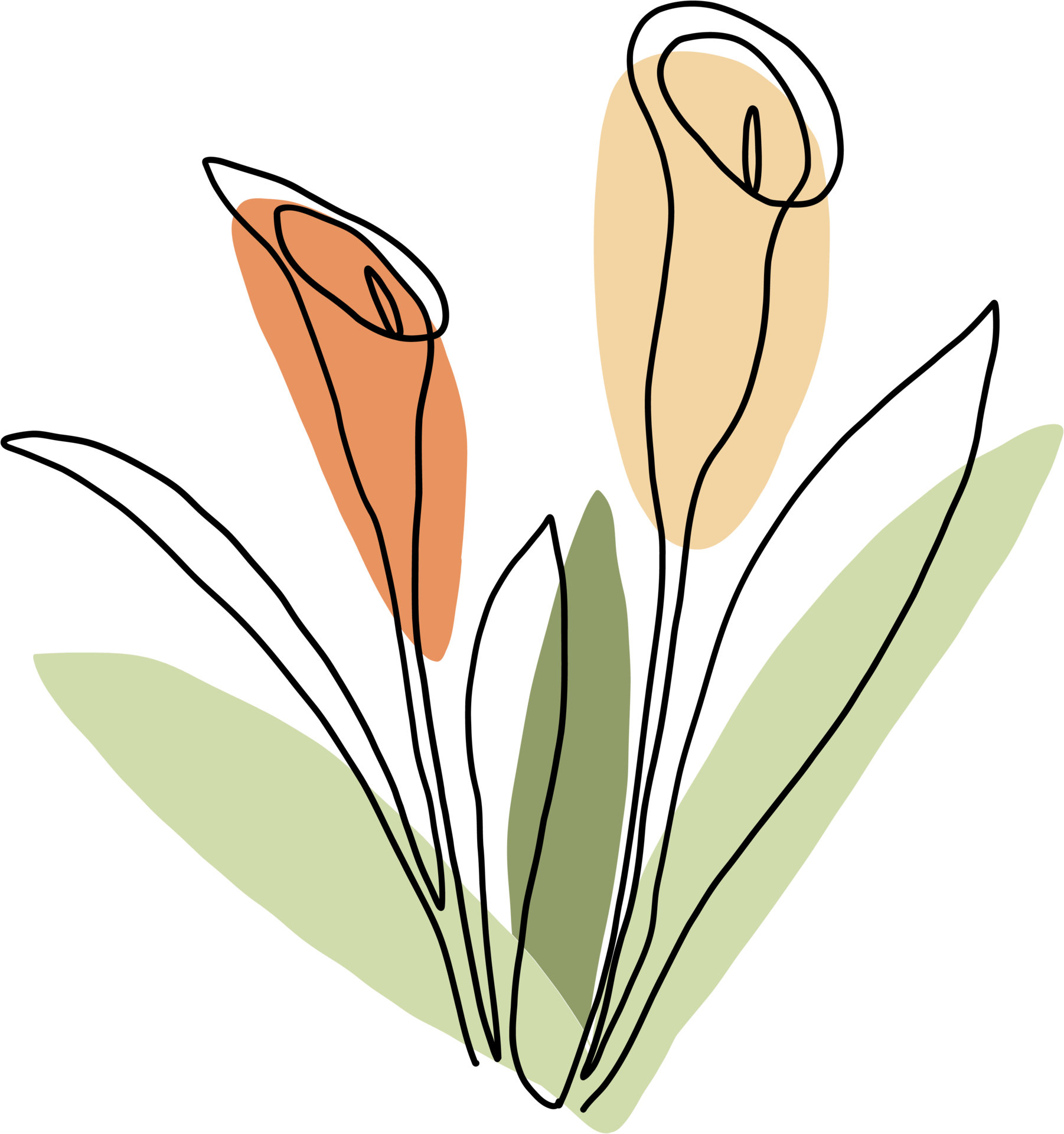 Simplicity Flower Freehand Continuous Line Drawing 13643915 Png