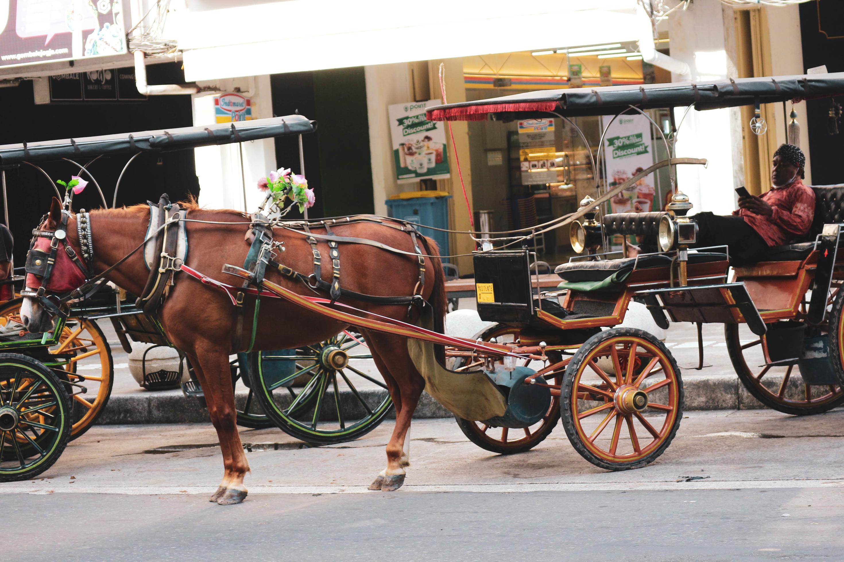 Yogyakarta, Indonesia on October 23, 2022. Andong or horse-drawn carriage with its coachman ...
