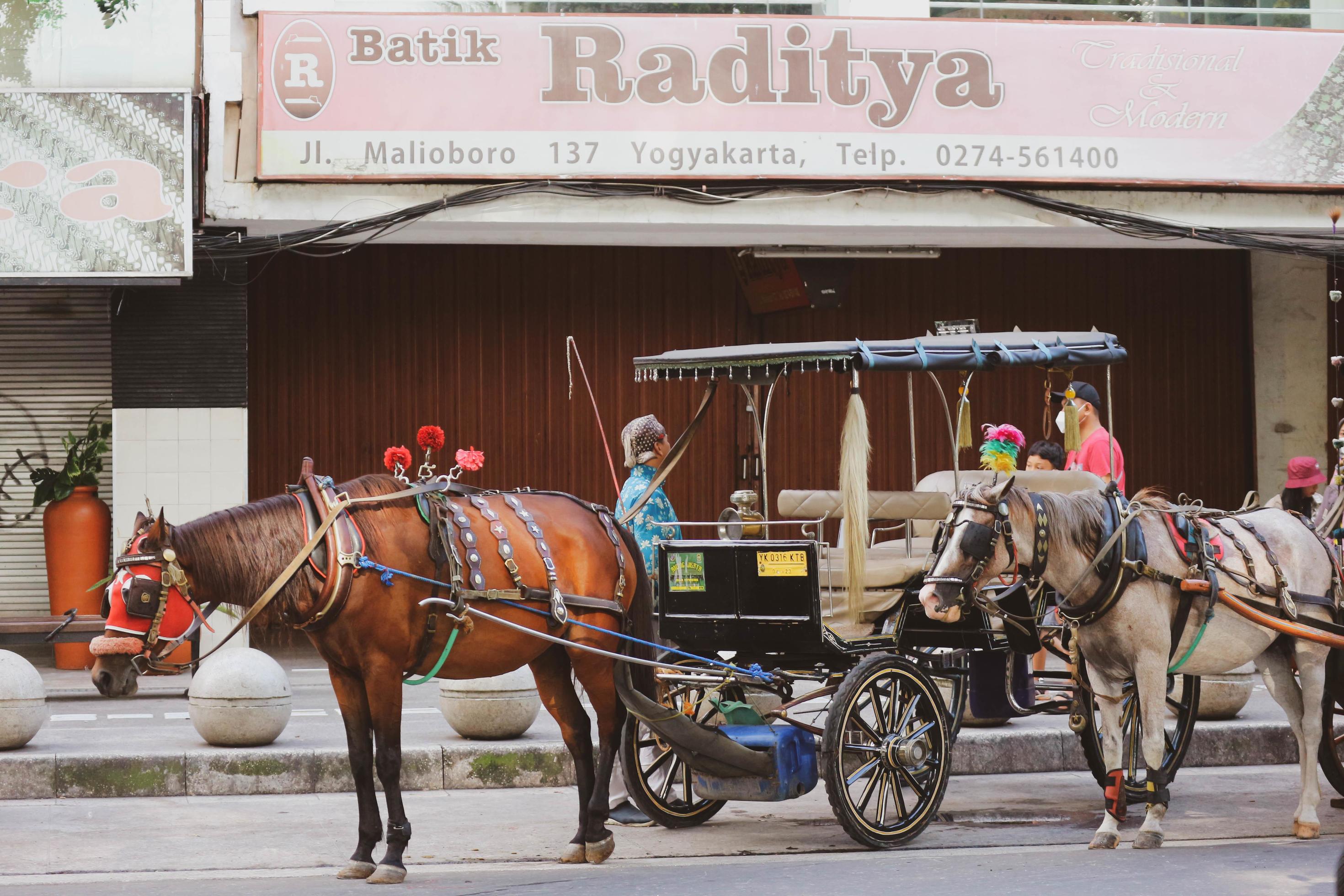 Yogyakarta, Indonesia on October 23, 2022. Andong or horse-drawn carriage with its coachman ...