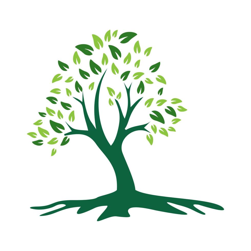 ilustración de vector de árbol de hoja de vida 13675713 Vector en Vecteezy