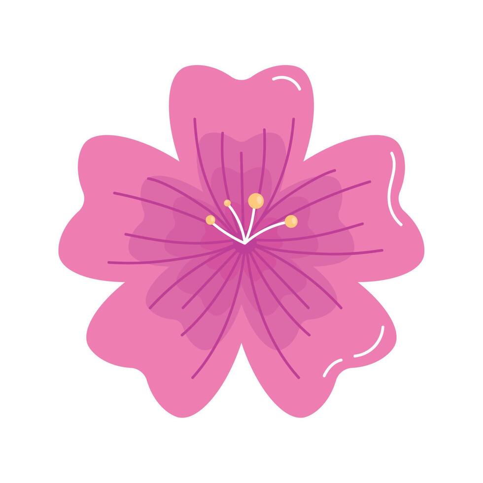 Pink Lotus Flower 13697175 Vector Art At Vecteezy