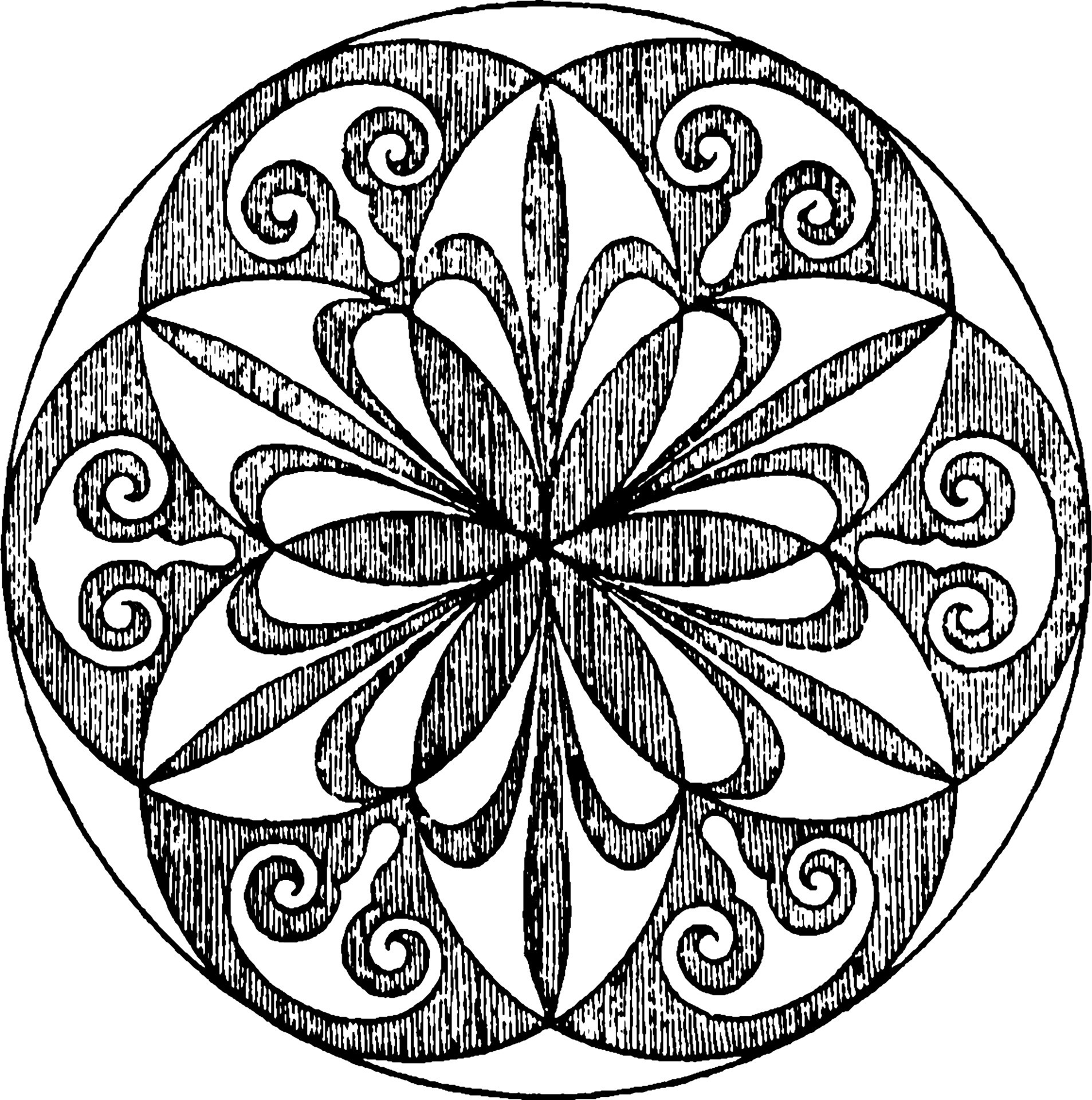 Radial Design, vintage illustration. 13705193 Vector Art at Vecteezy Radial Design, vintage illustration. 13705193 Vector Art at Vecteezy