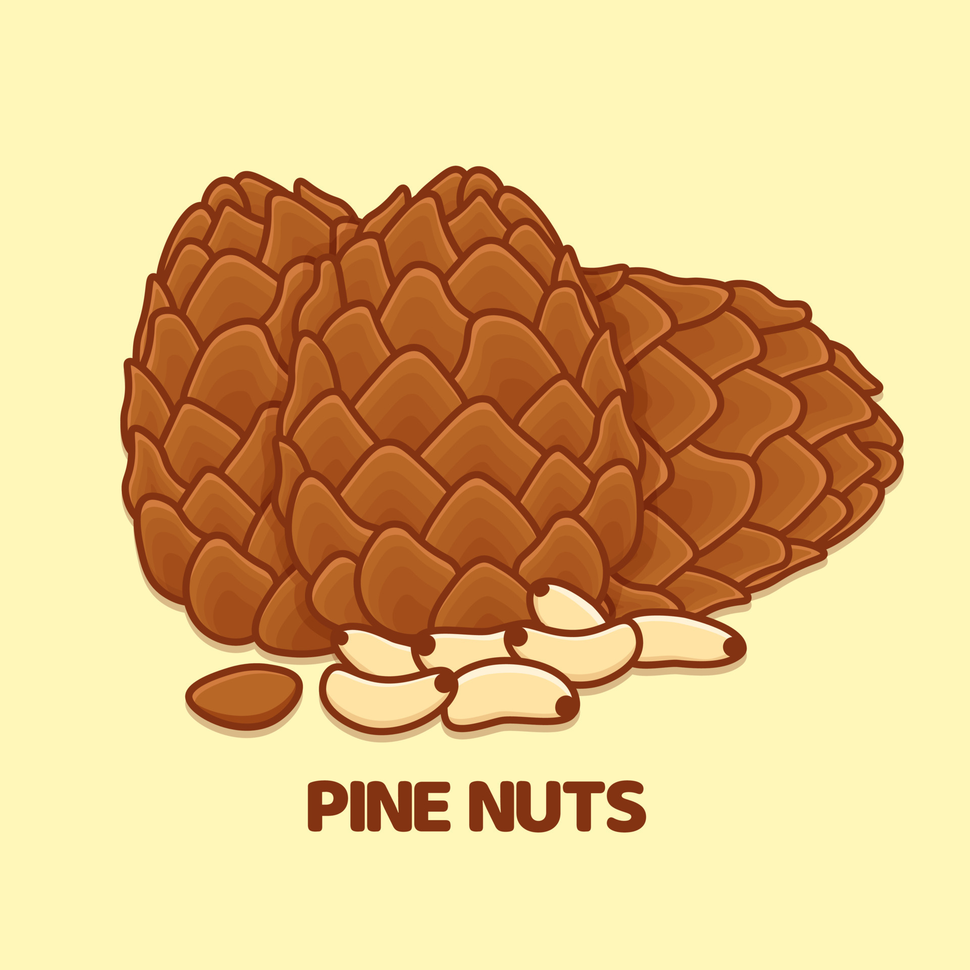 Pine nuts cartoon vector icon illustration isolated 13708100 Vector Art ... Pine nuts cartoon vector icon illustration isolated 13708100 Vector Art ...