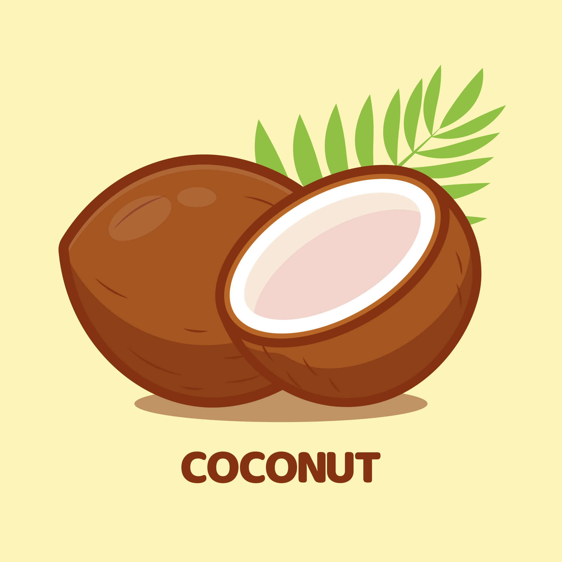 Coconut cartoon vector icon illustration isolated 13708102 Vector Art ... Coconut cartoon vector icon illustration isolated 13708102 Vector Art ...