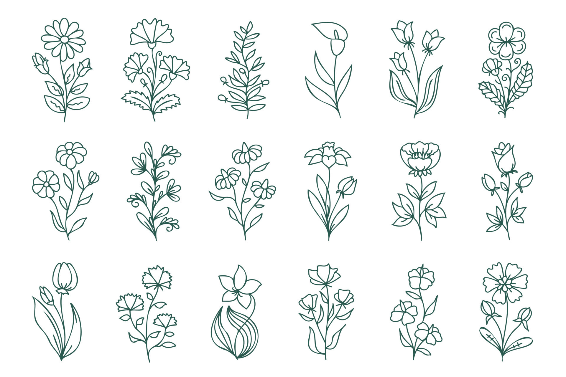 Floral Line Art Set Linear Botanical Vector Design Elements Flower Drawings With Thin Line