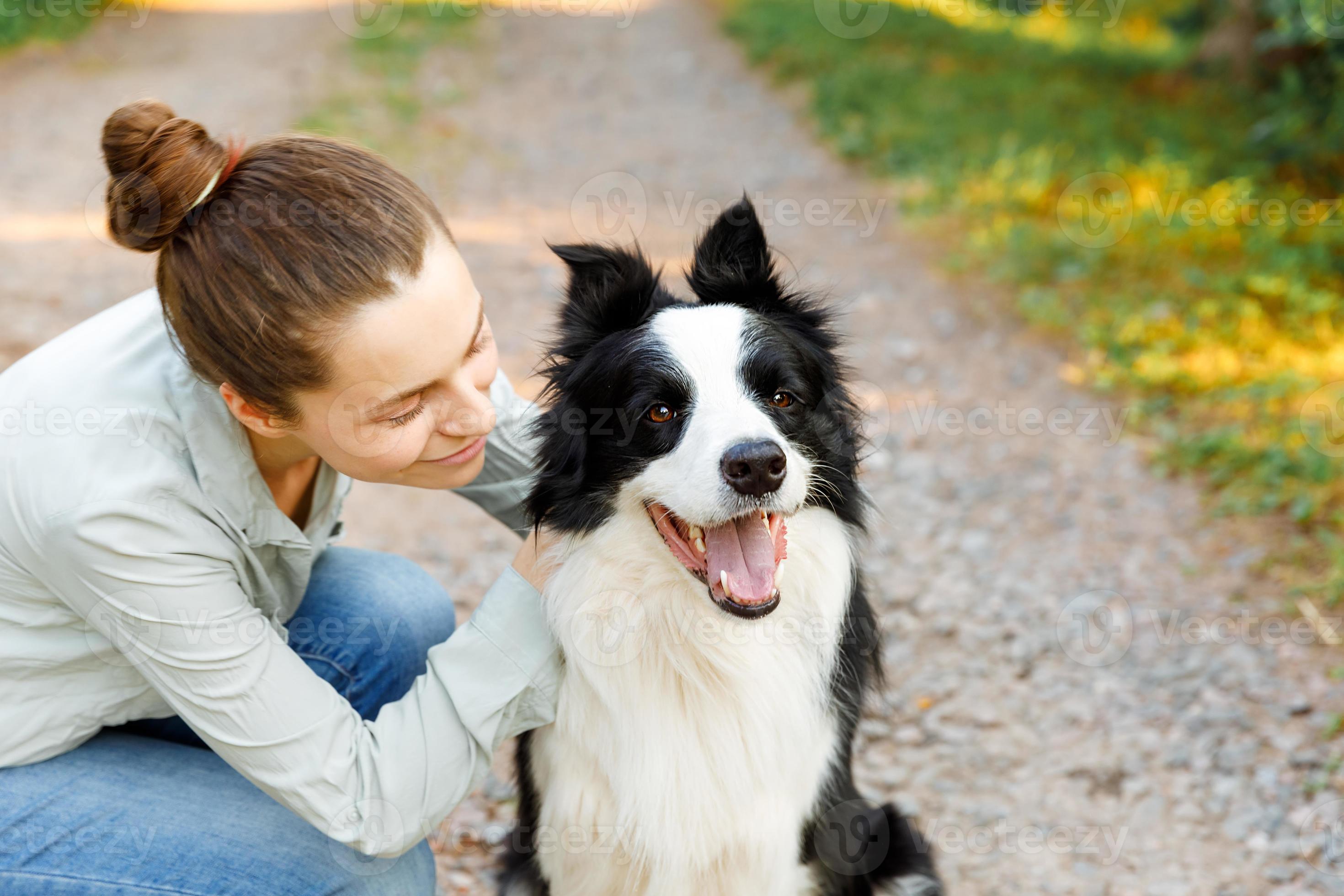Smiling young attractive woman playing with cute puppy dog border collie on summer outdoor ...