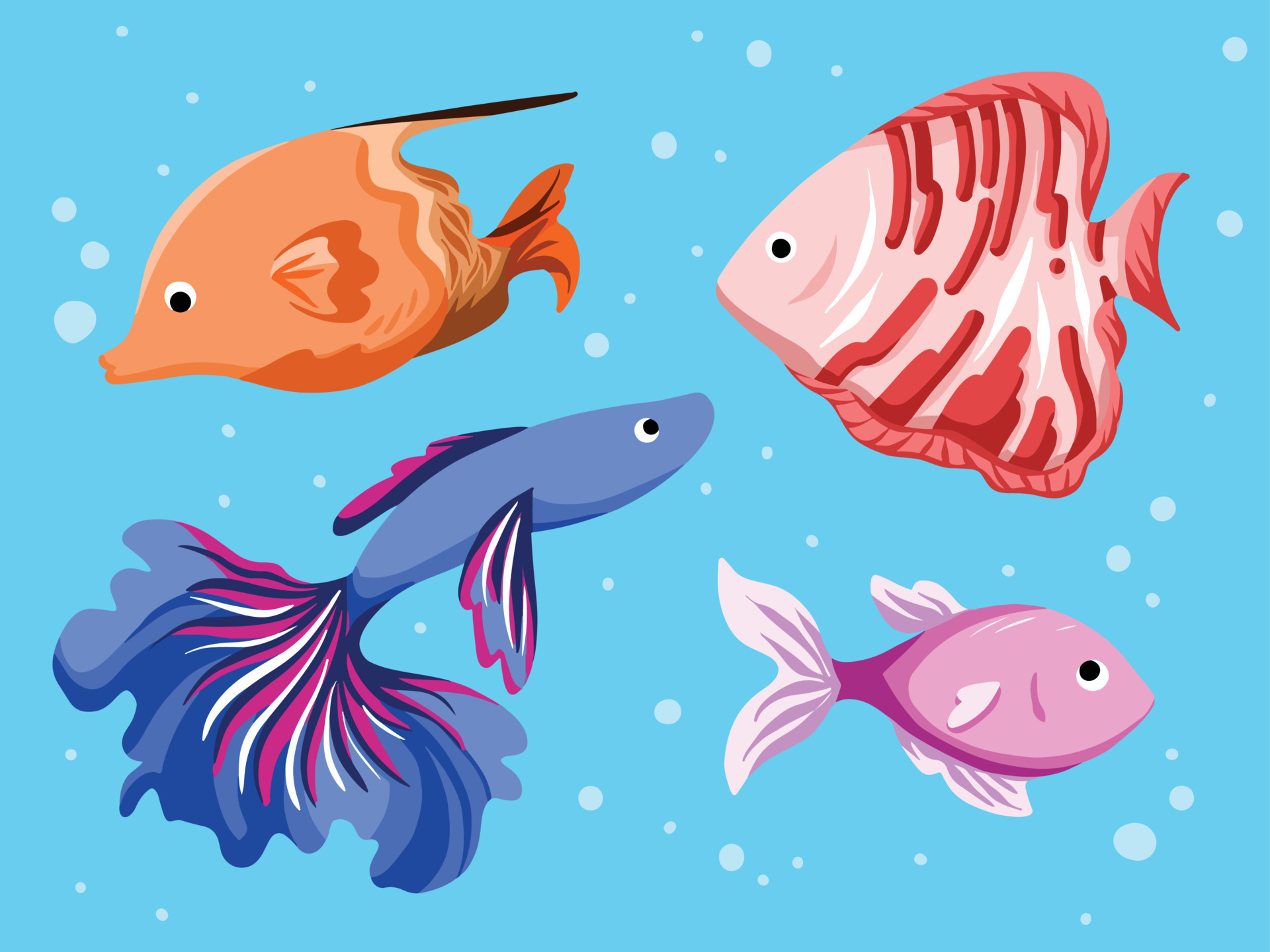 Colorful decorative fish in various color and shapes. Vector ... Colorful decorative fish in various color and shapes. Vector ...