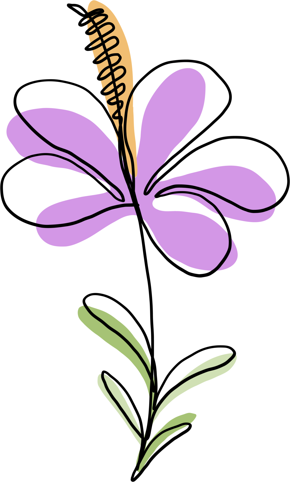 Simplicity Flower Freehand Continuous Line Drawing 13743460 Png