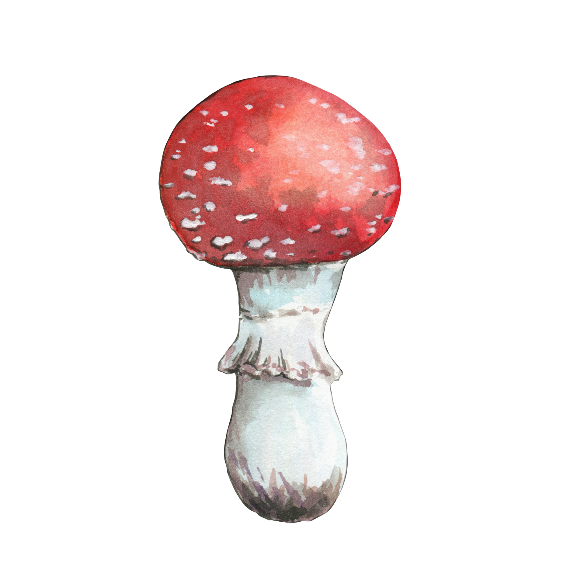 Small red fly agaric, poisonous mushroom, watercolor 13749218 PNG Small red fly agaric, poisonous mushroom, watercolor 13749218 PNG