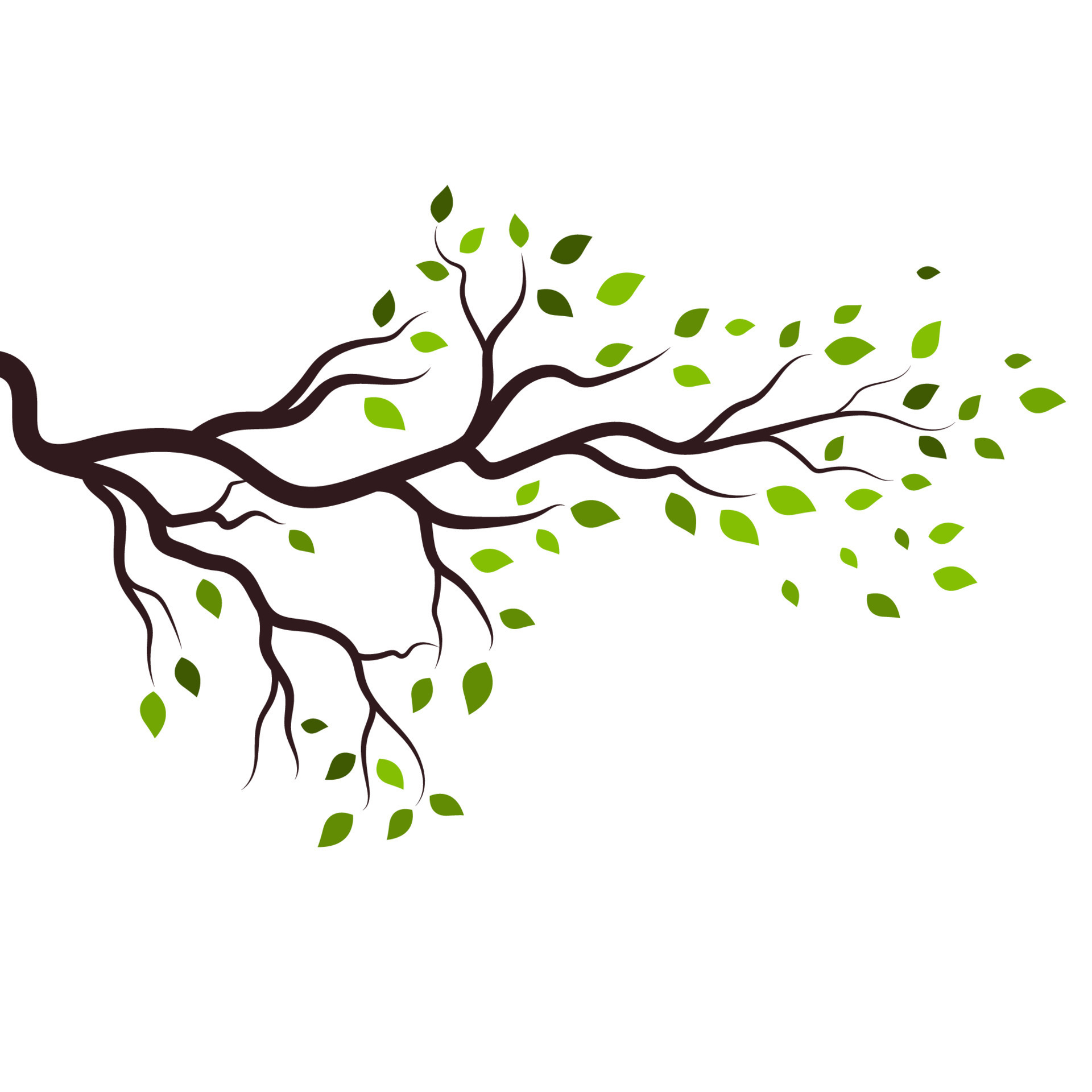 Tree branch vector ilustration design 13777745 Vector Art at Vecteezy