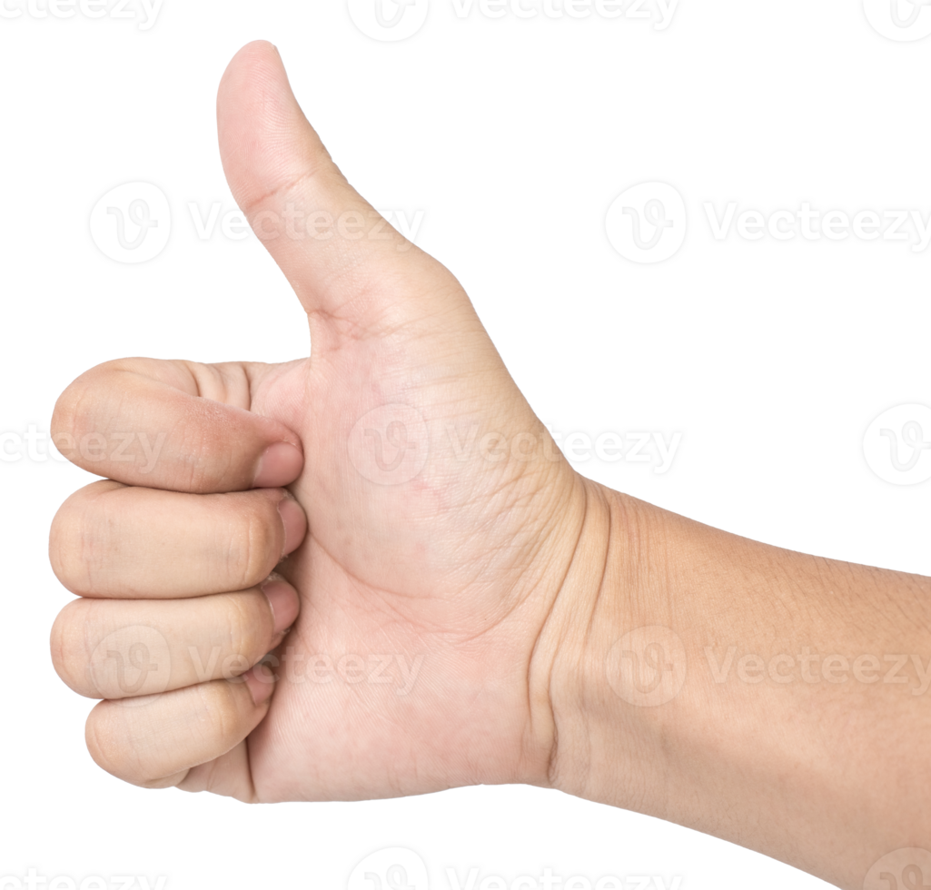 main montrant le signe du pouce levé isolé 13795312 PNG main montrant le signe du pouce levé isolé 13795312 PNG