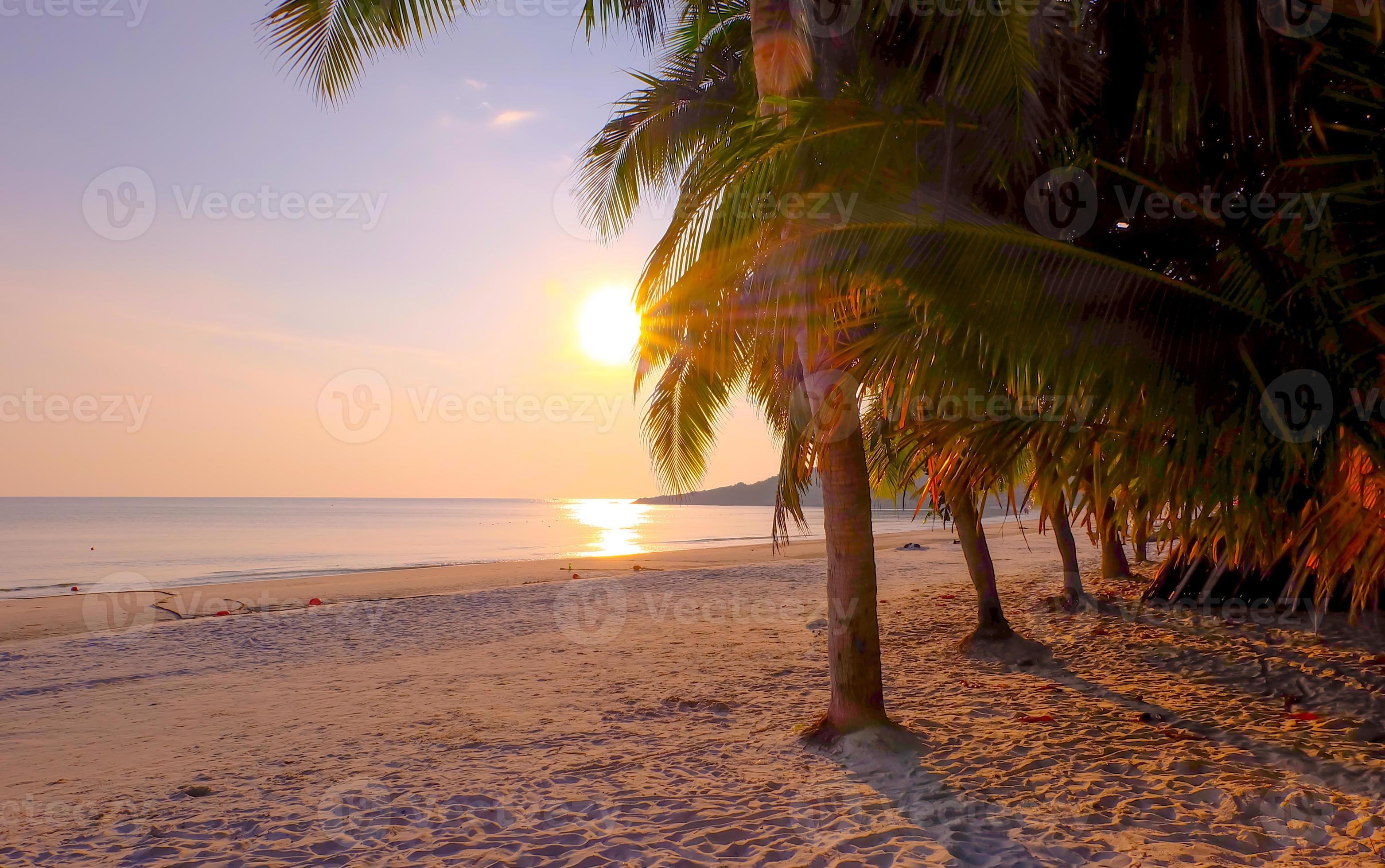 Beautiful sunrise tropical beach with palm tree and sky for travel and ...