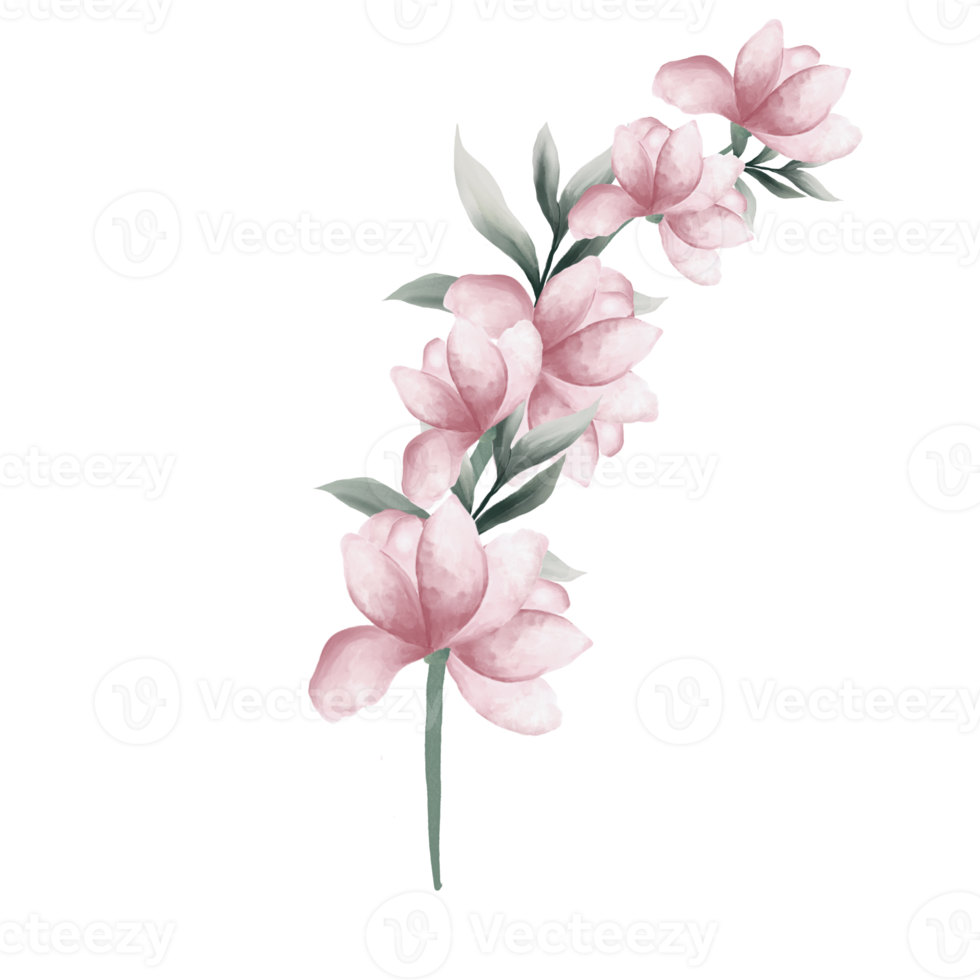 Pink watercolor flowers 13812208 PNG Pink watercolor flowers 13812208 PNG