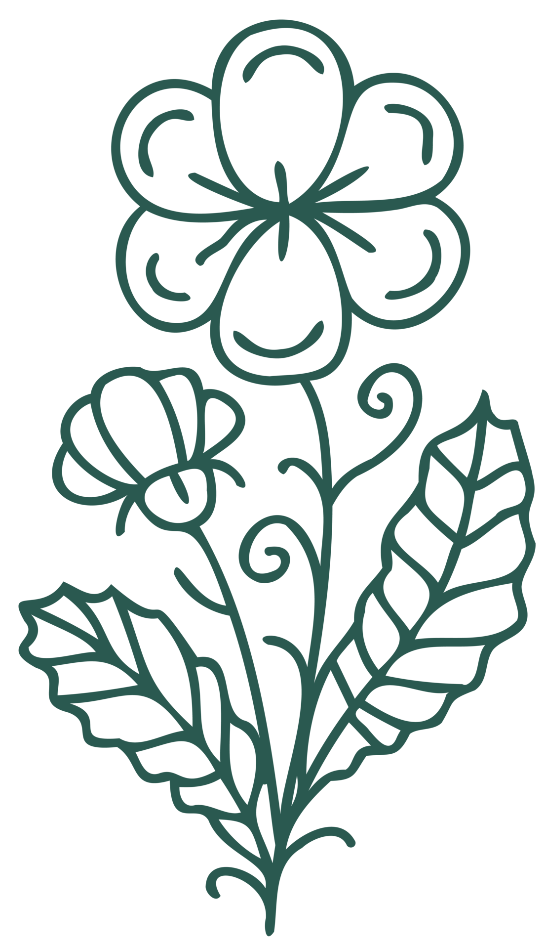 Floral Line Art Linear Botanical Design Element Flower Drawings With