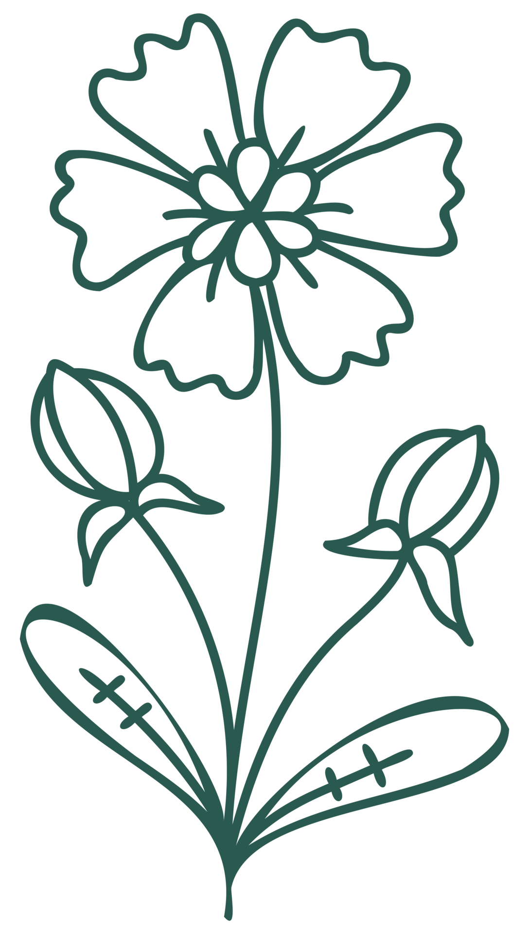 Floral Line Art Linear Botanical Design Element Flower Drawings With