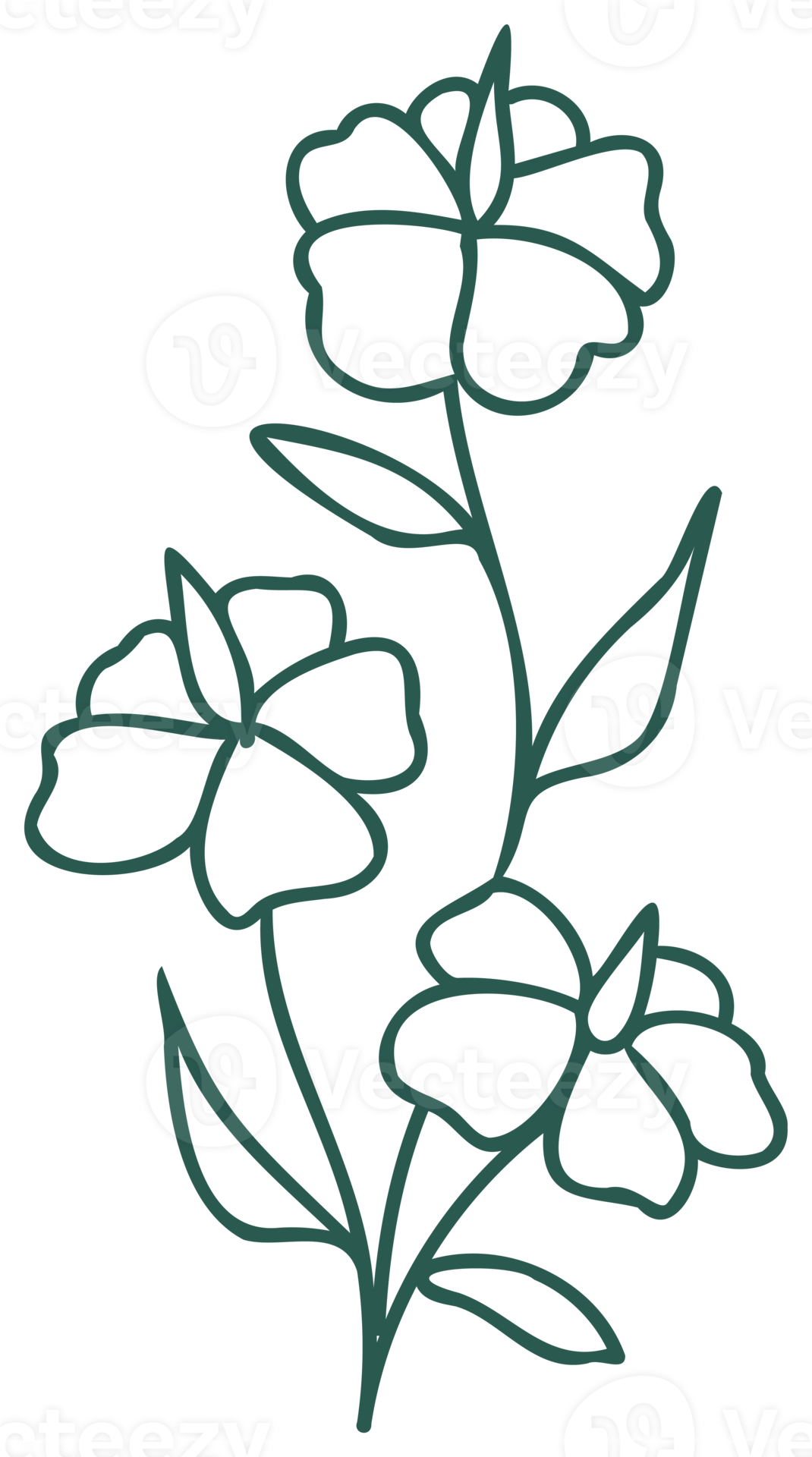 Floral Line Art Linear Botanical Design Element Flower Drawings With Thin Line Collection Of