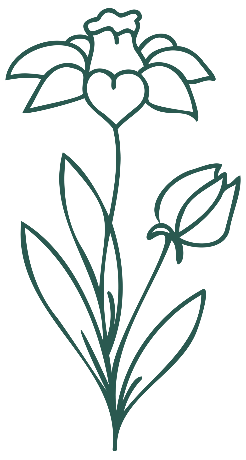 Floral Line Art Linear Botanical Design Element Flower Drawings With Thin Line Collection Of