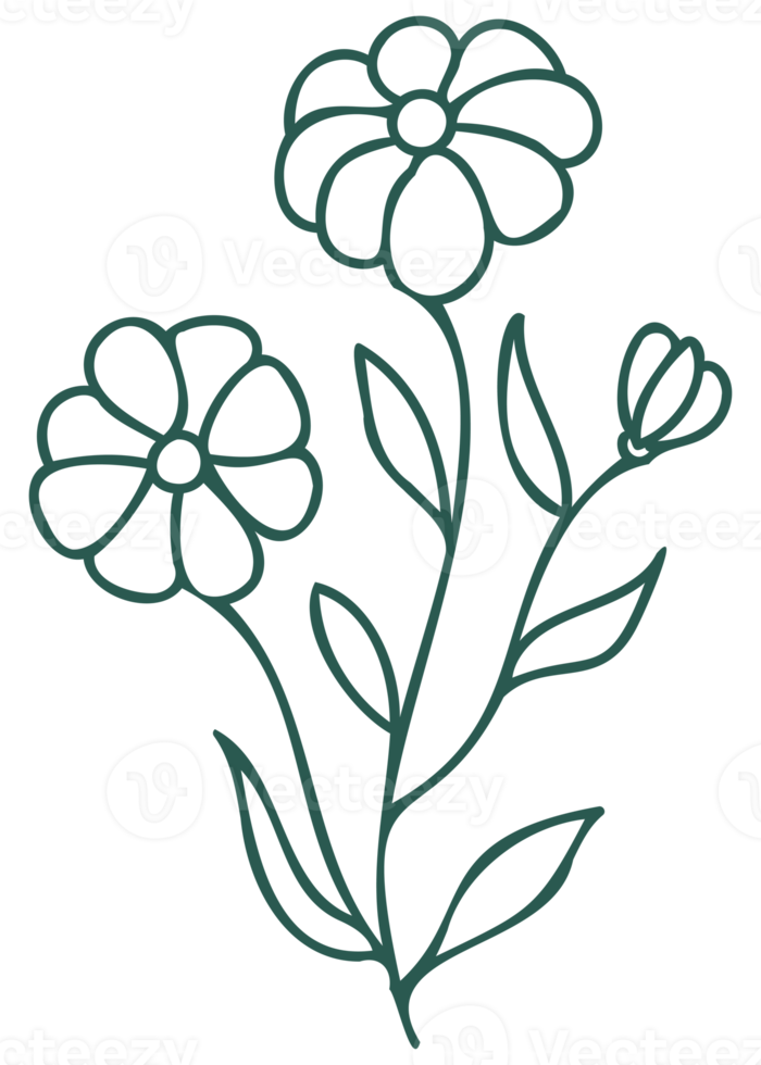 Floral Line Art Linear Botanical Design Element Flower Drawings With Thin Line Collection Of