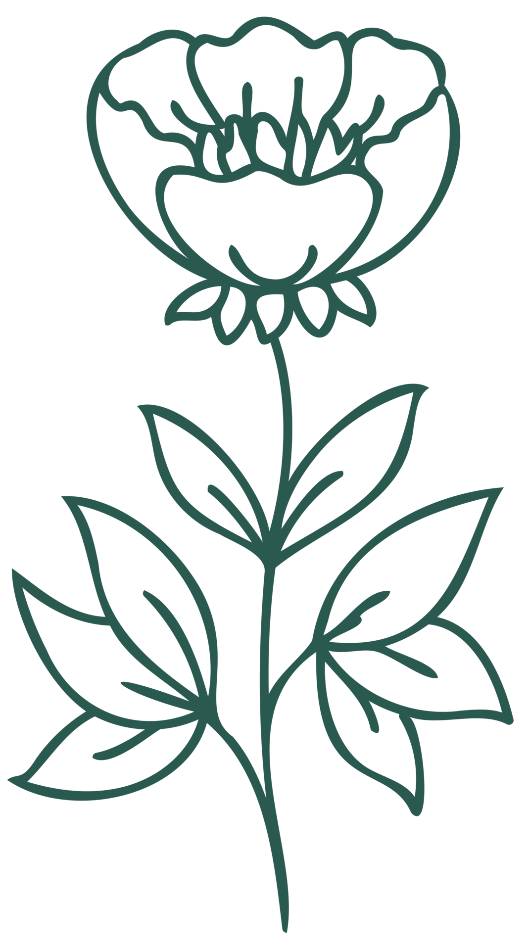 Floral Line Art Linear Botanical Design Element Flower Drawings With Thin Line Collection Of