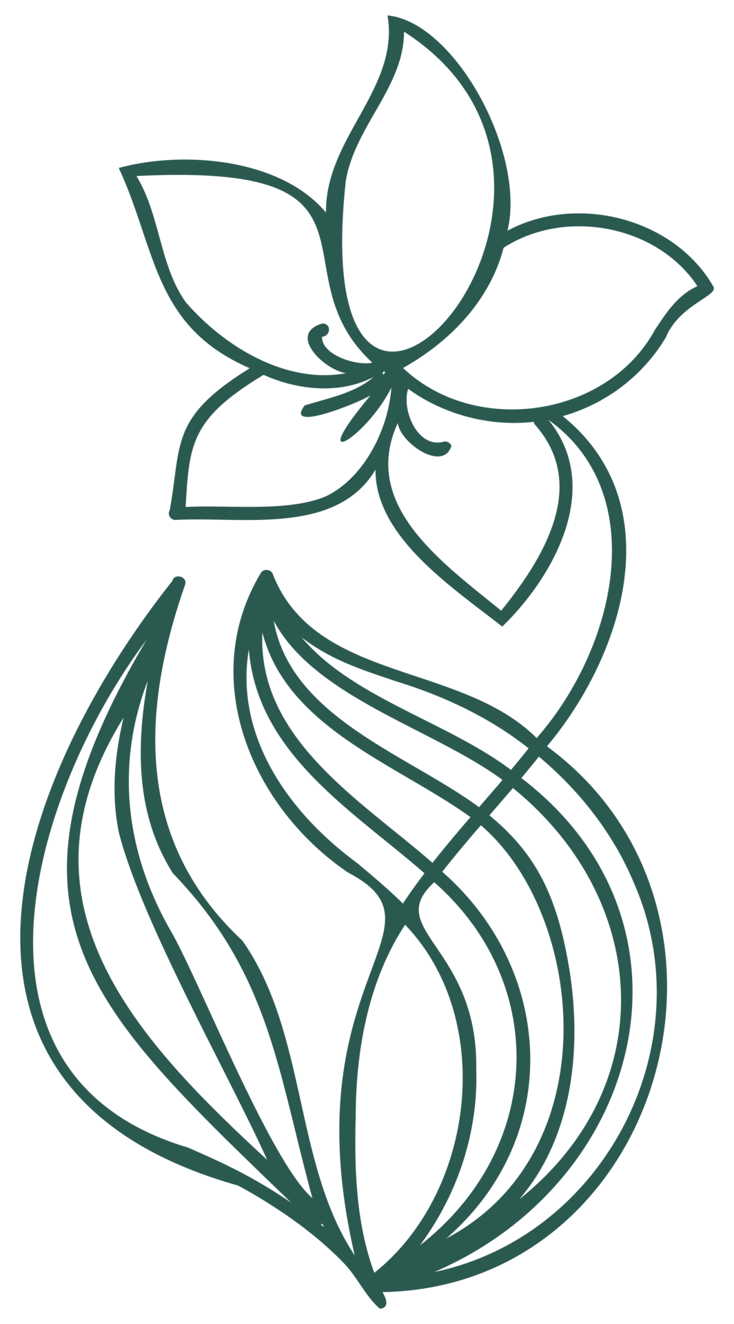 Floral Line Art Linear Botanical Design Element Flower Drawings With