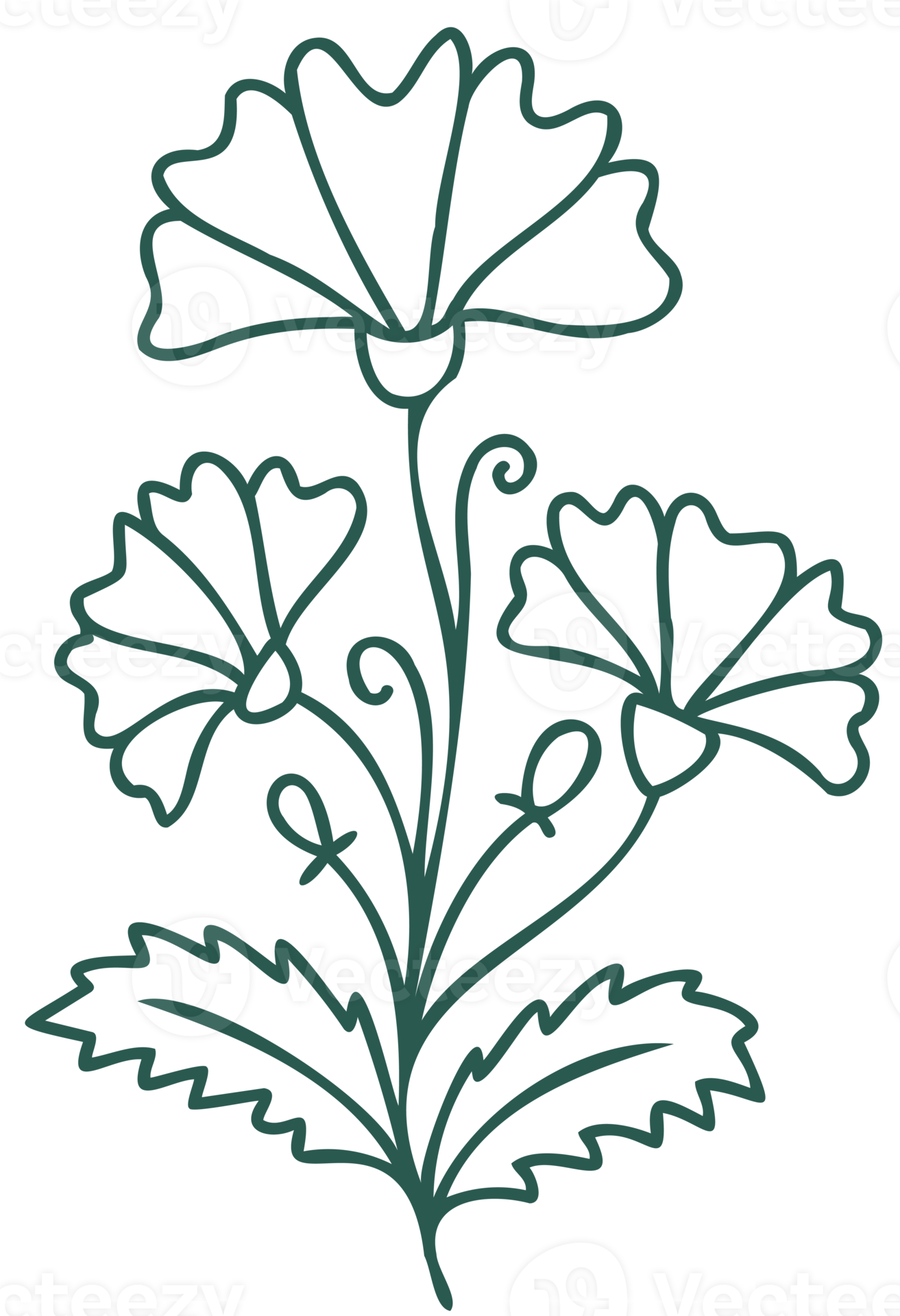 Floral Line Art Linear Botanical Design Element Flower Drawings With Thin Line Collection Of